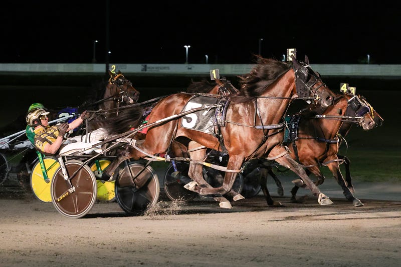 The Meadows: With three Adios hopefuls, Alexander ready for his close-up