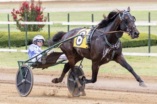 Red Mile: Kentucky Sire Stakes begin for 4-year-old trotters