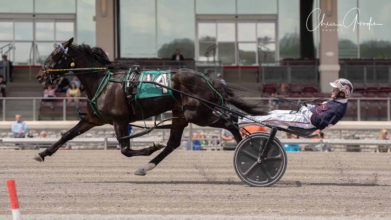 The Meadows: Twaddle seeks initial Adios title with Timeisonmyside