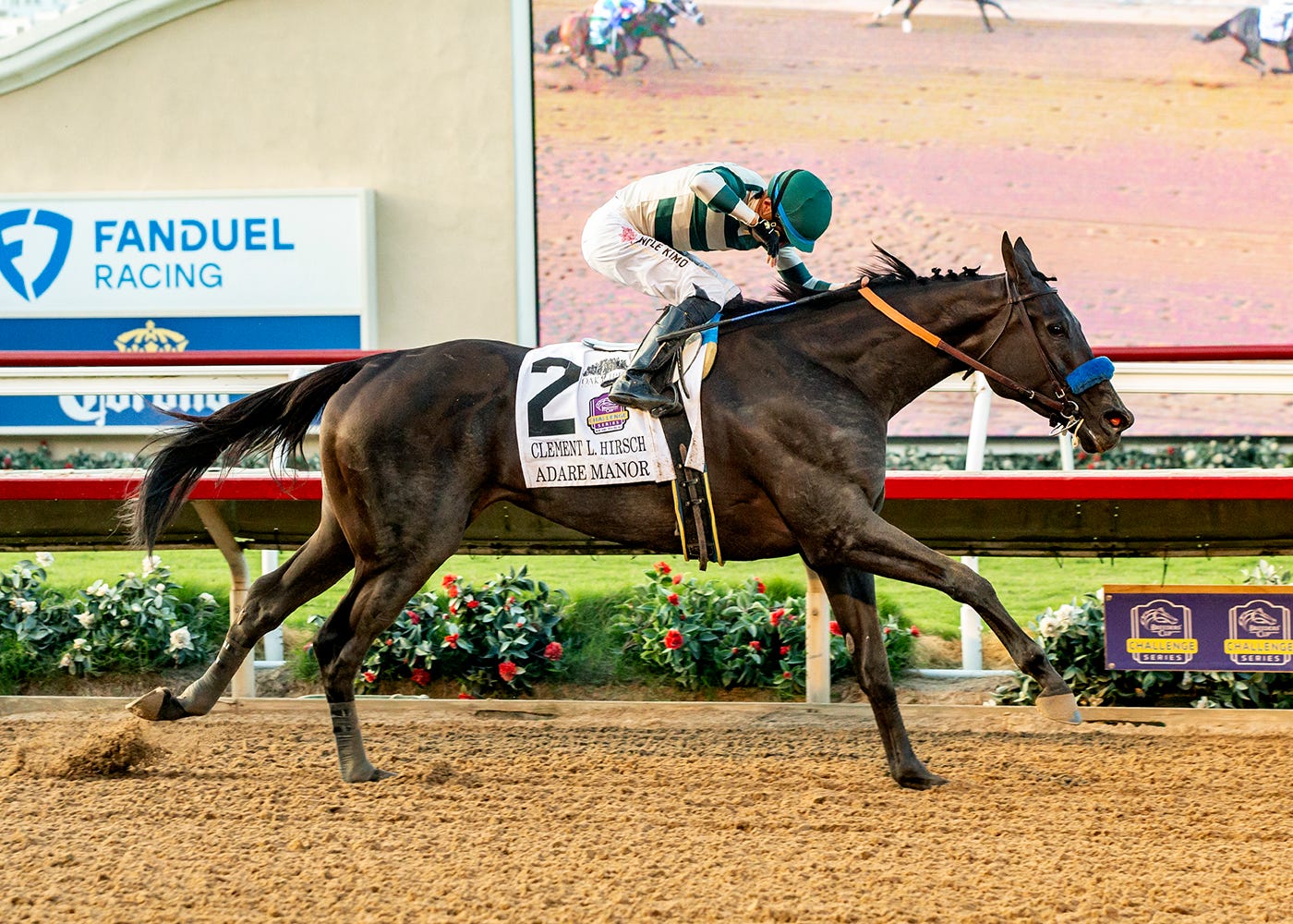 Adare Manor retired; will be sold at Fasig-Tipton November