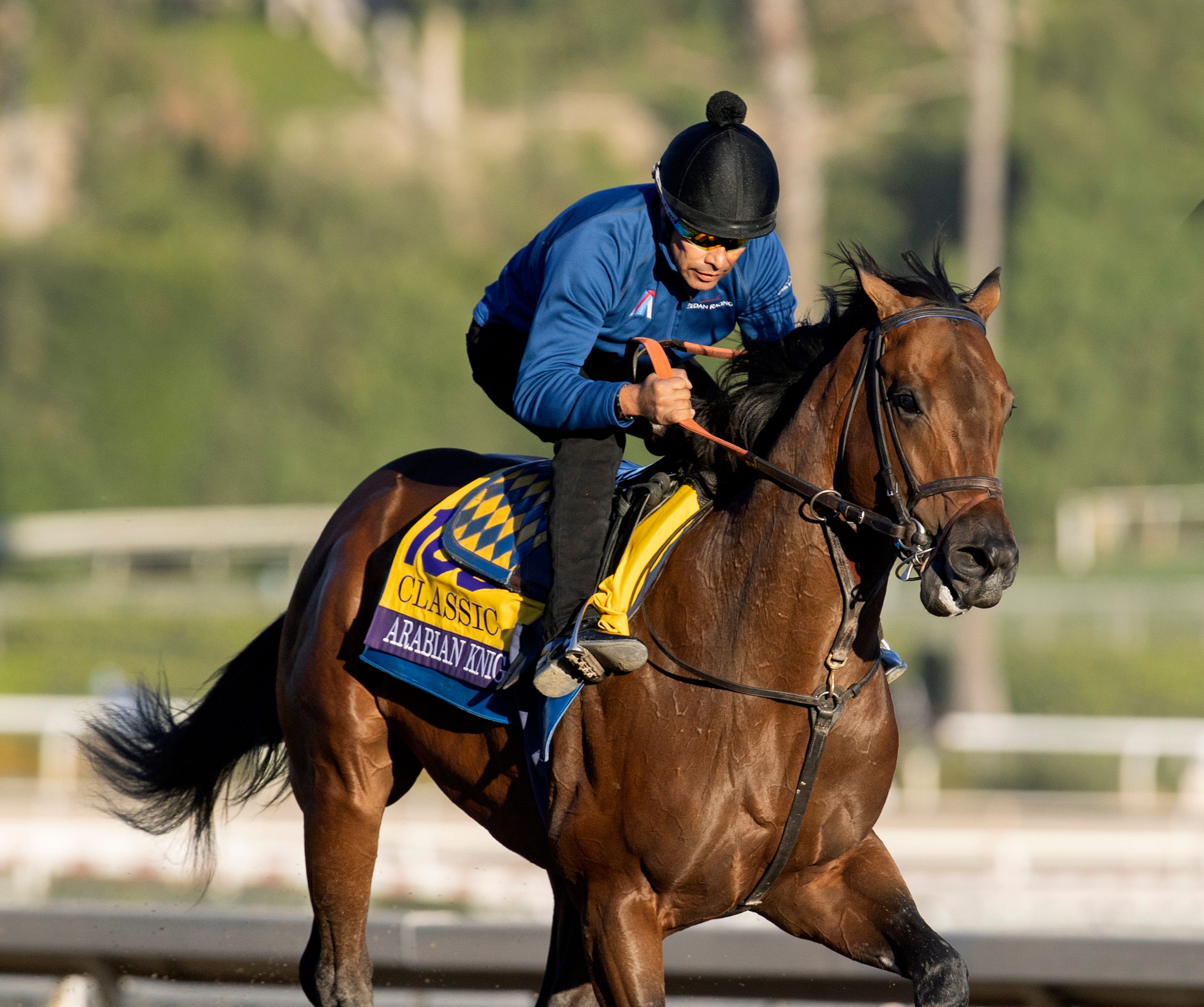 Arabian Knight cuts back to one turn for Pat O'Brien