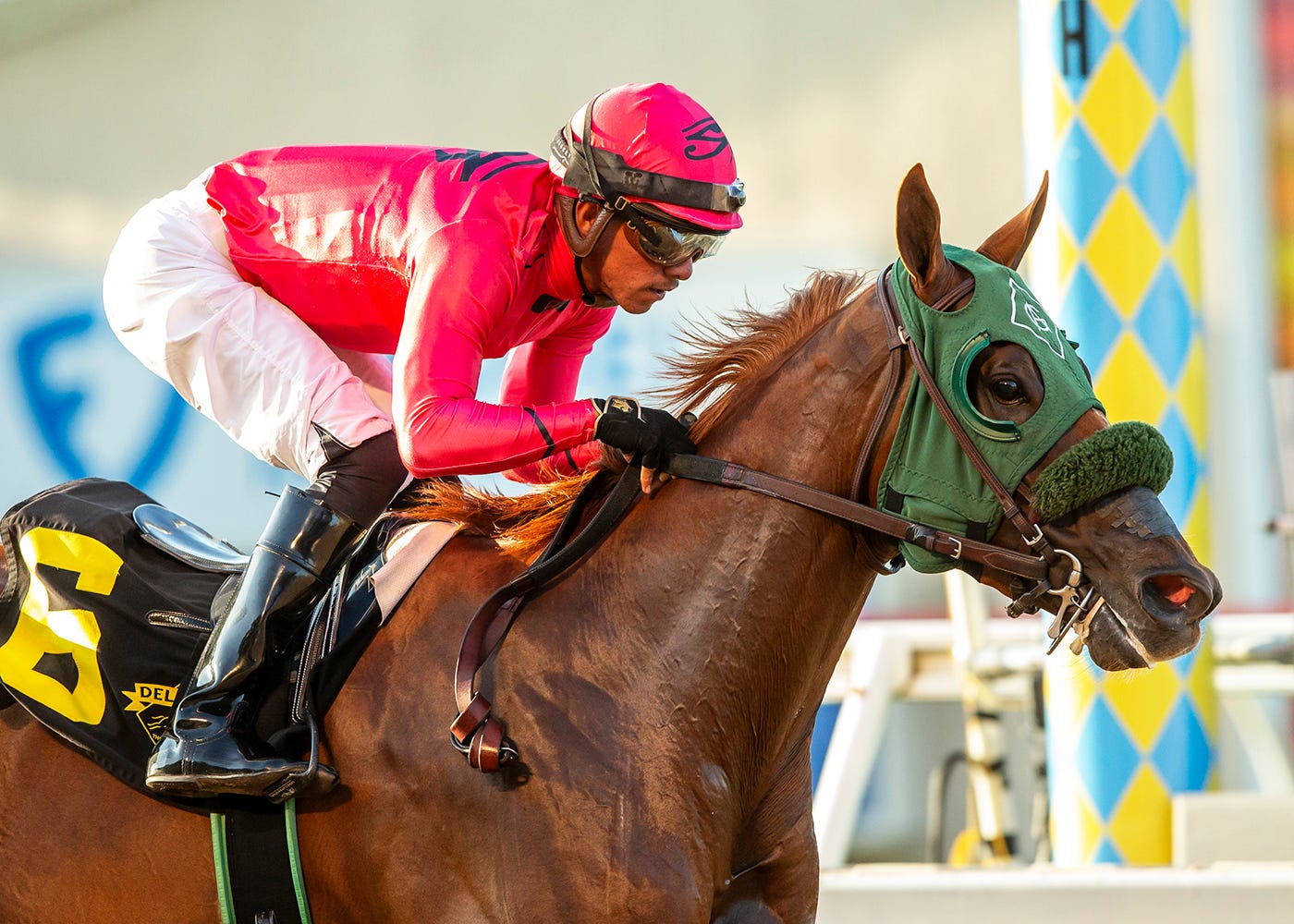 Curlin's Kaos runs Real Good Deal field off its feet