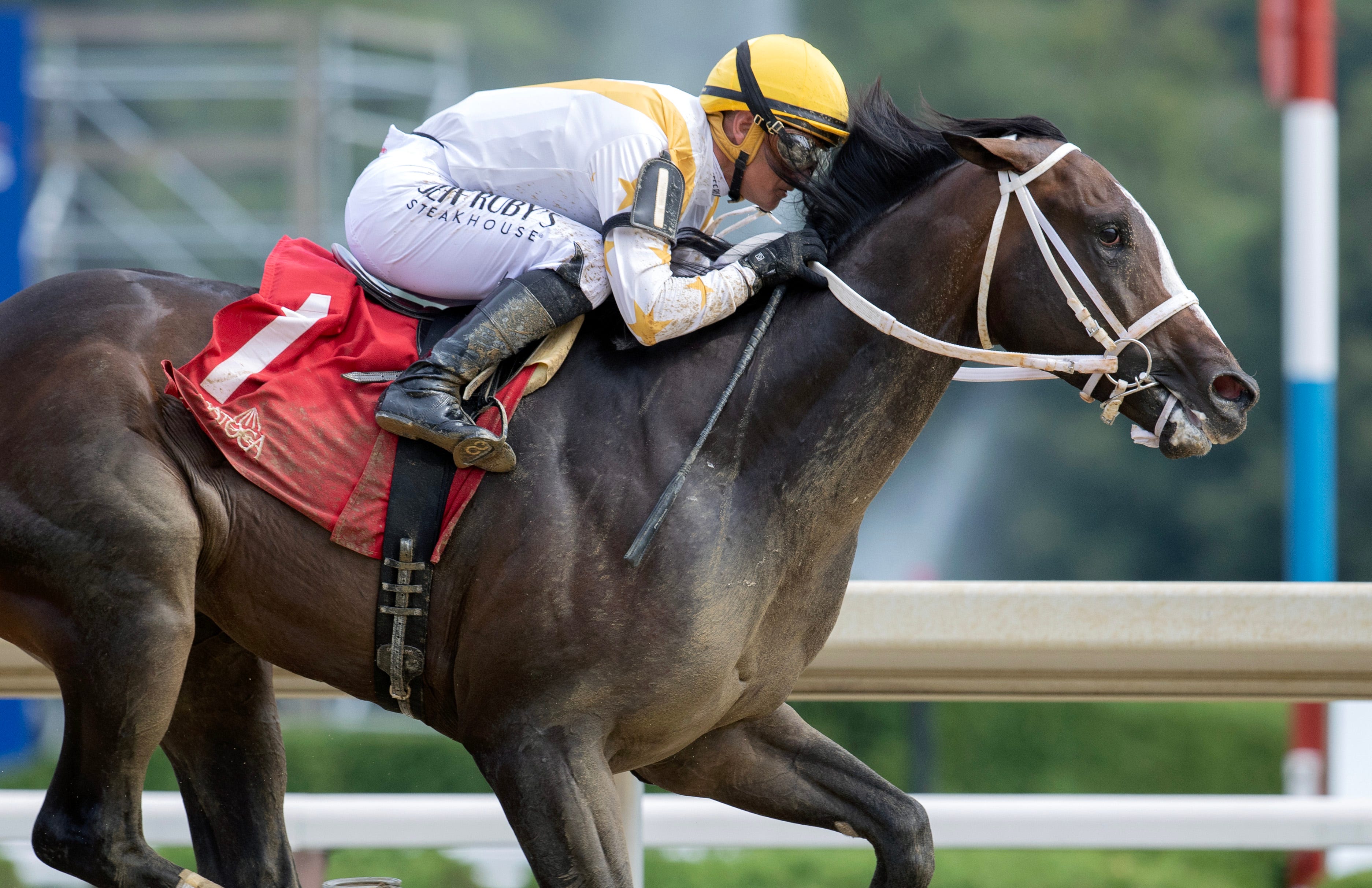 Powerhouse debut by Ferocious has owners thinking big again