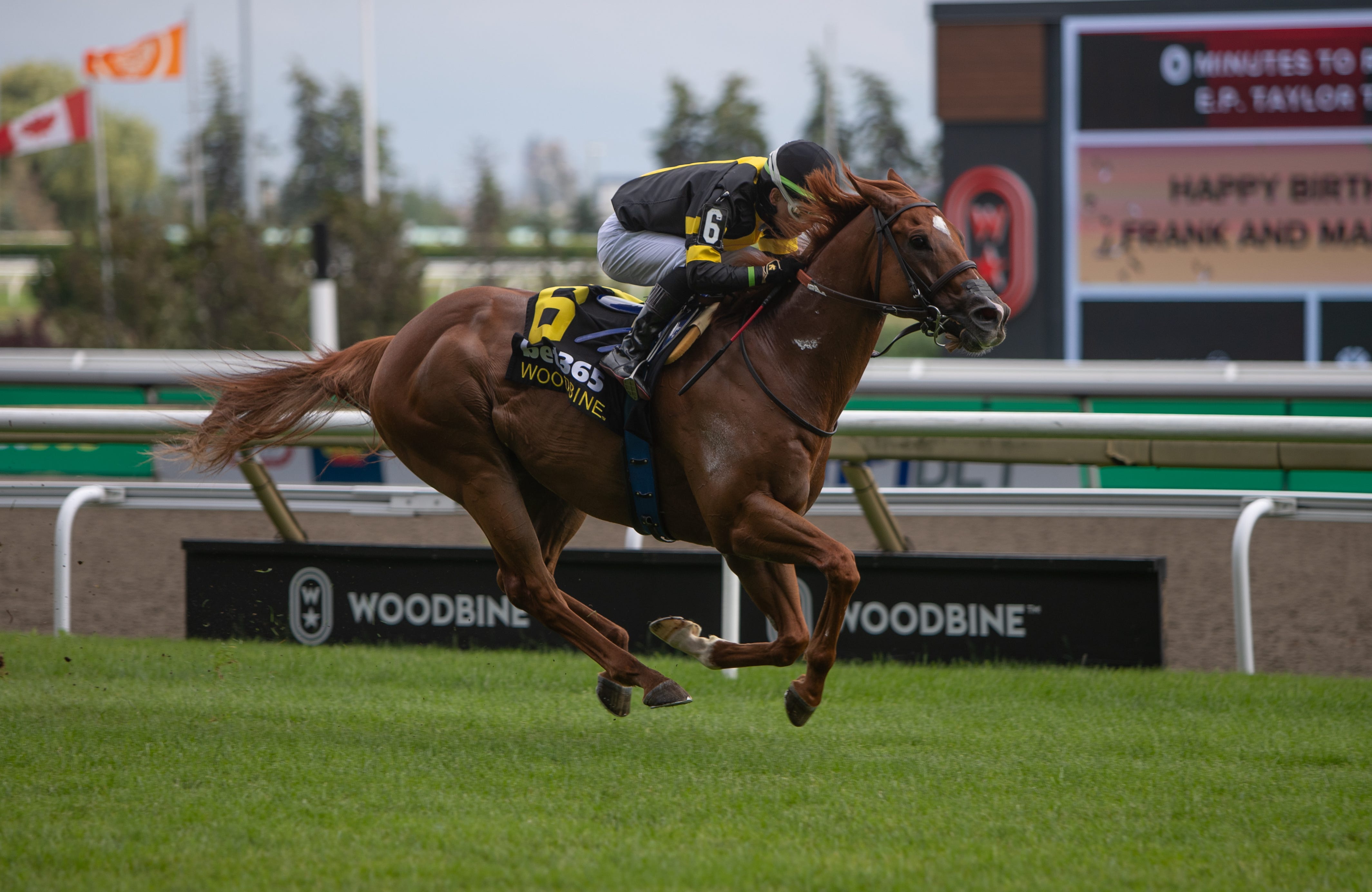 Filo Di Arianna stretches out in rescheduled King Edward