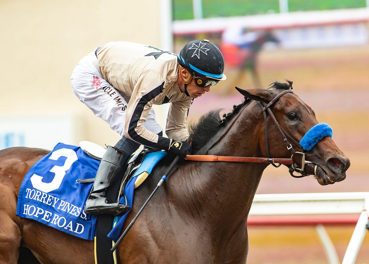Hope Road finds first graded stakes victory in Torrey Pines Stakes