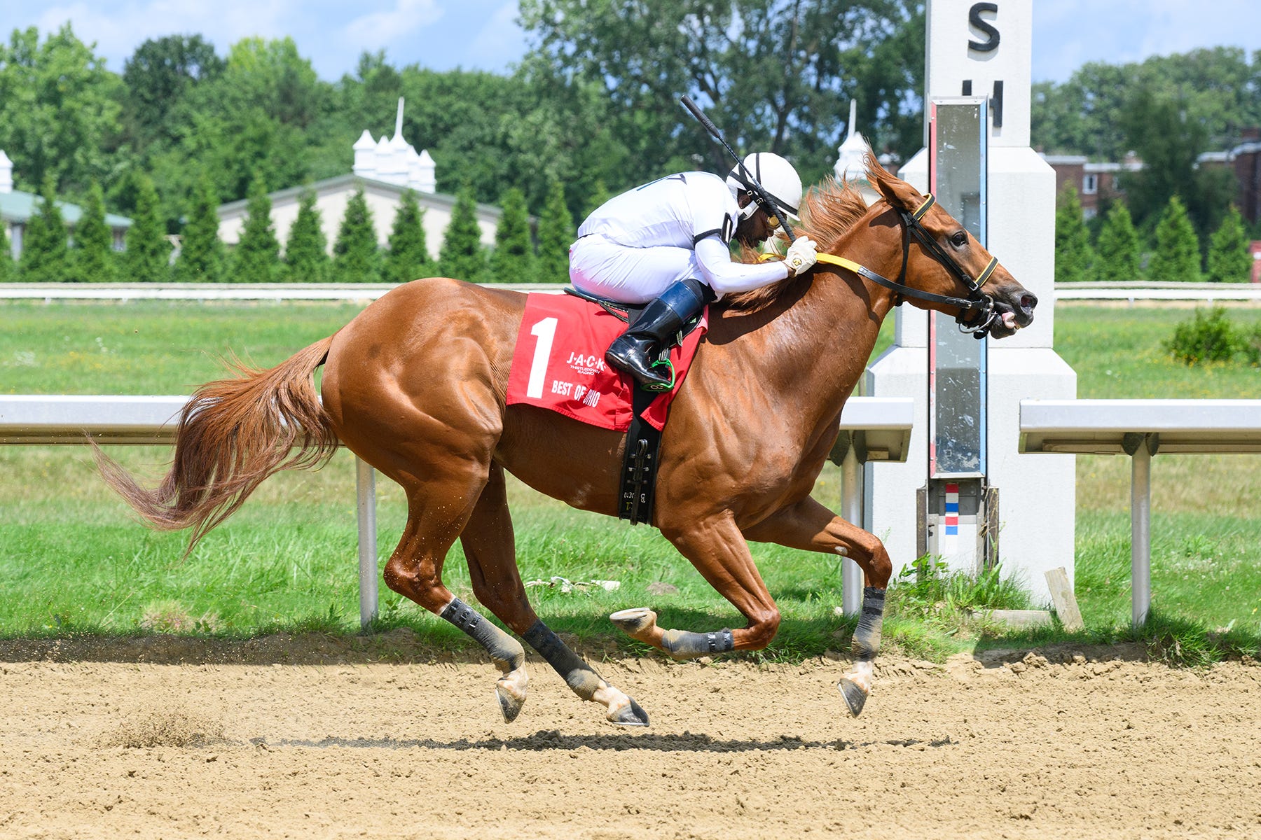 Fair and Square tops big day for connections in Buckeye Cup