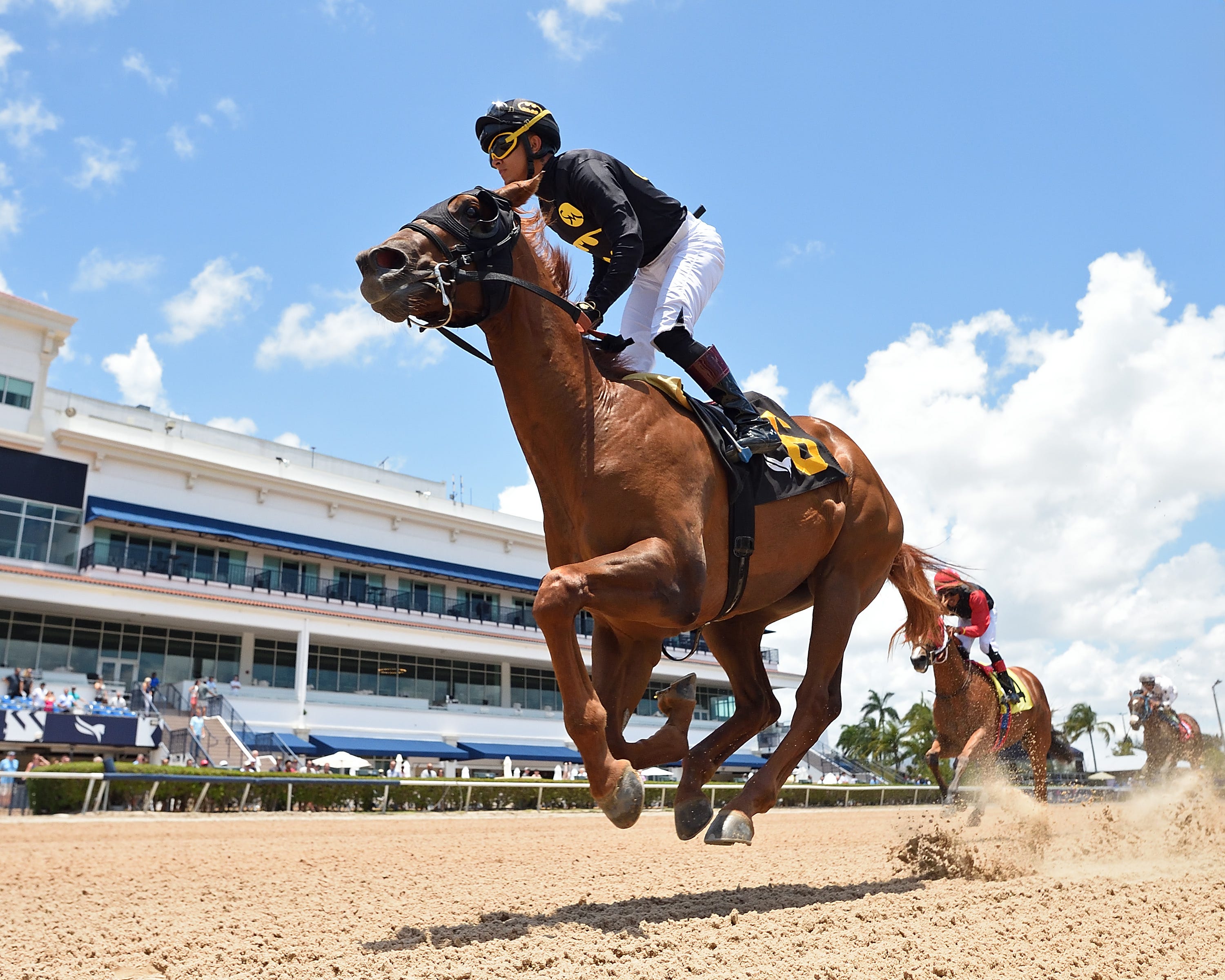 D'Angelo confident Kirin can handle turf in Tyro