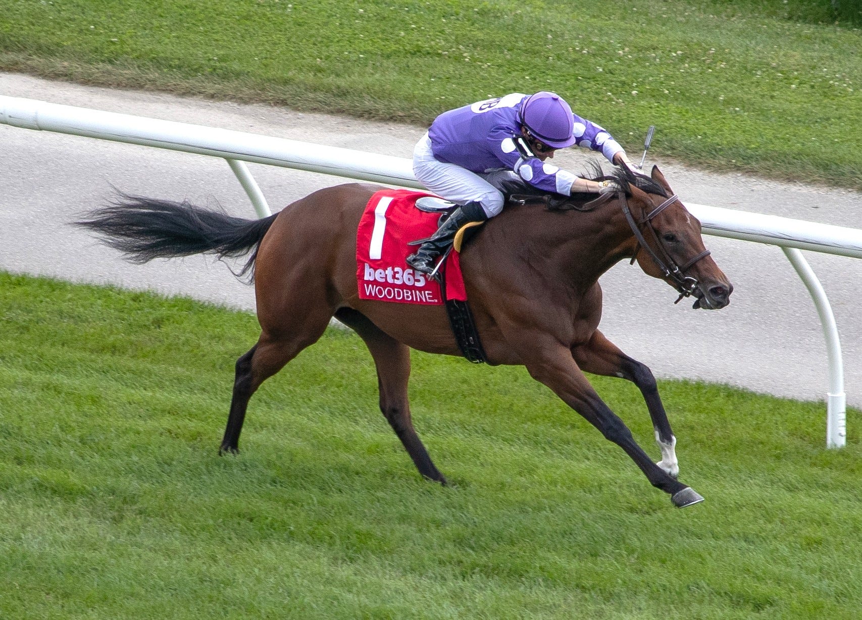 Shootin' Amy's speed gives her an edge in turf sprint