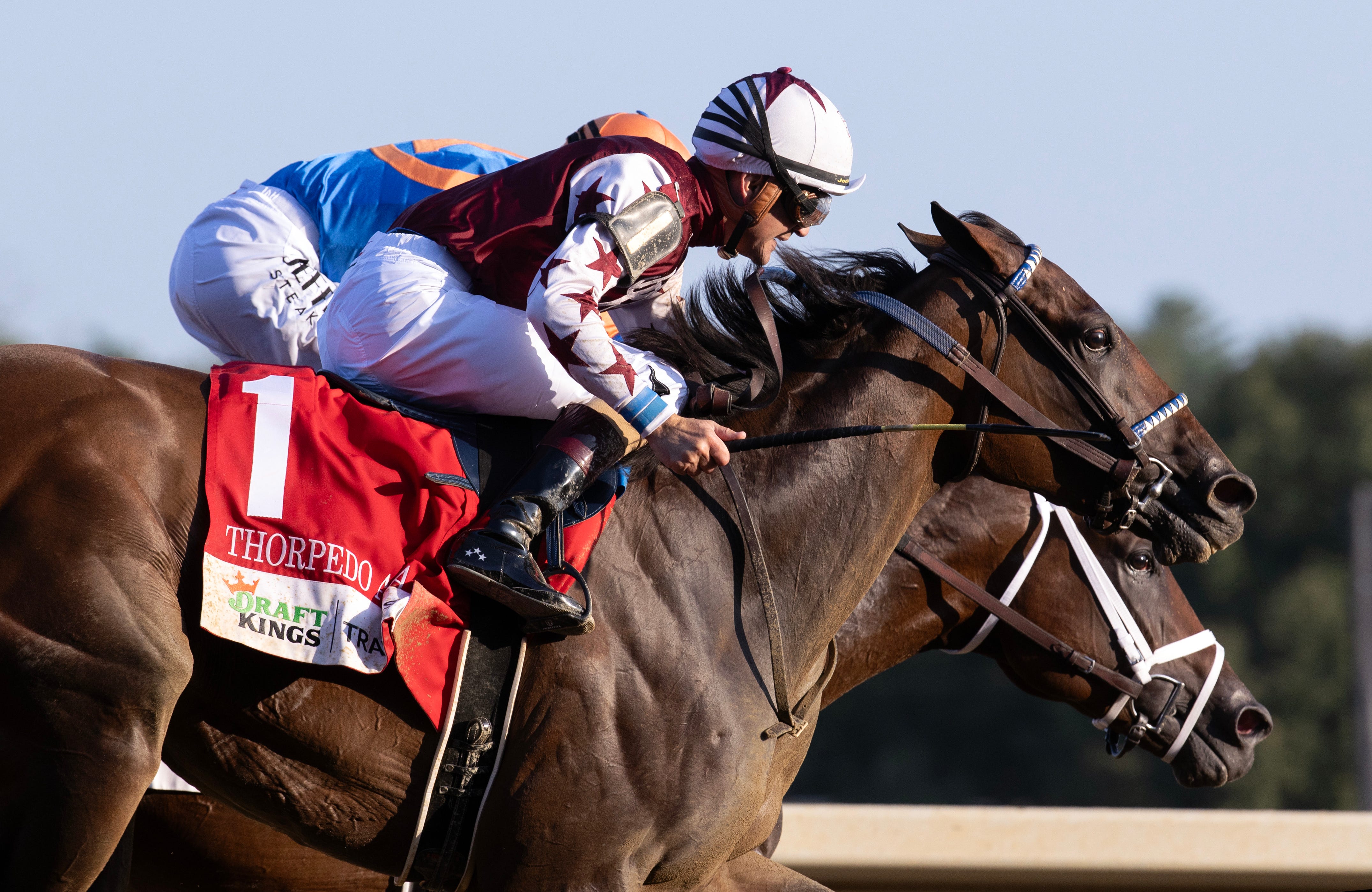 Unbowed off heroic Travers, Thorpedo Anna saddles up for Cotillion