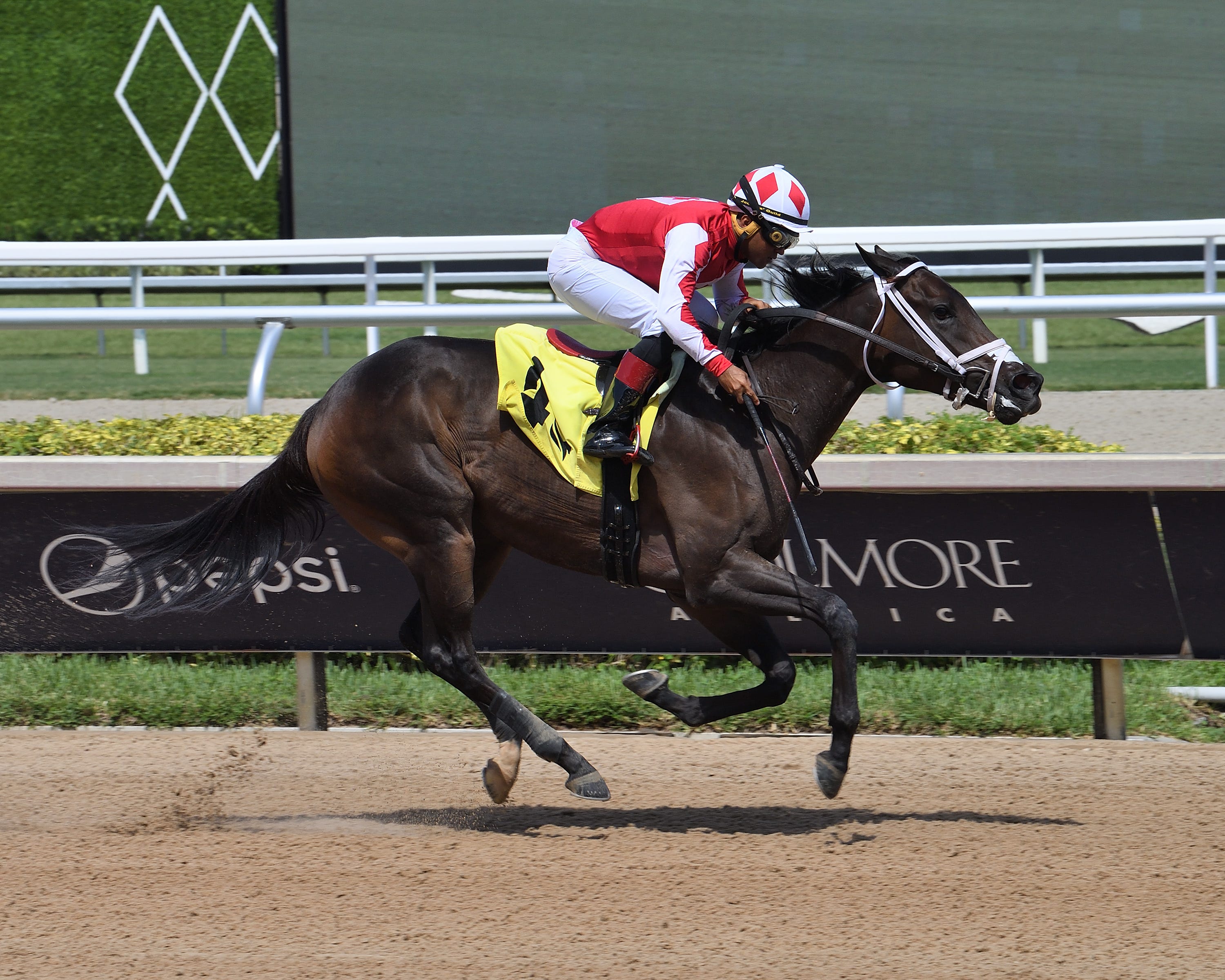 Win N Your In takes Sharp Susan; Naughty Rascal prevails in Proud Man