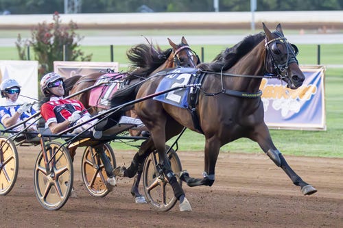 Red Mile: Kentucky Sire Stakes races roll on