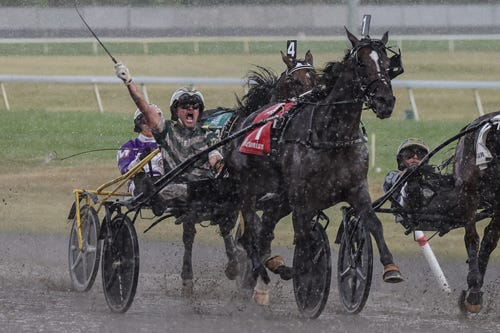 Harness: Looking back at the best races from 2024