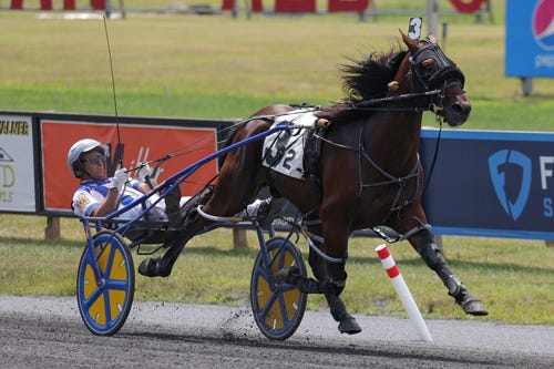 Meadowlands: Legendary Hanover emerges as Cane Pace conqueror
