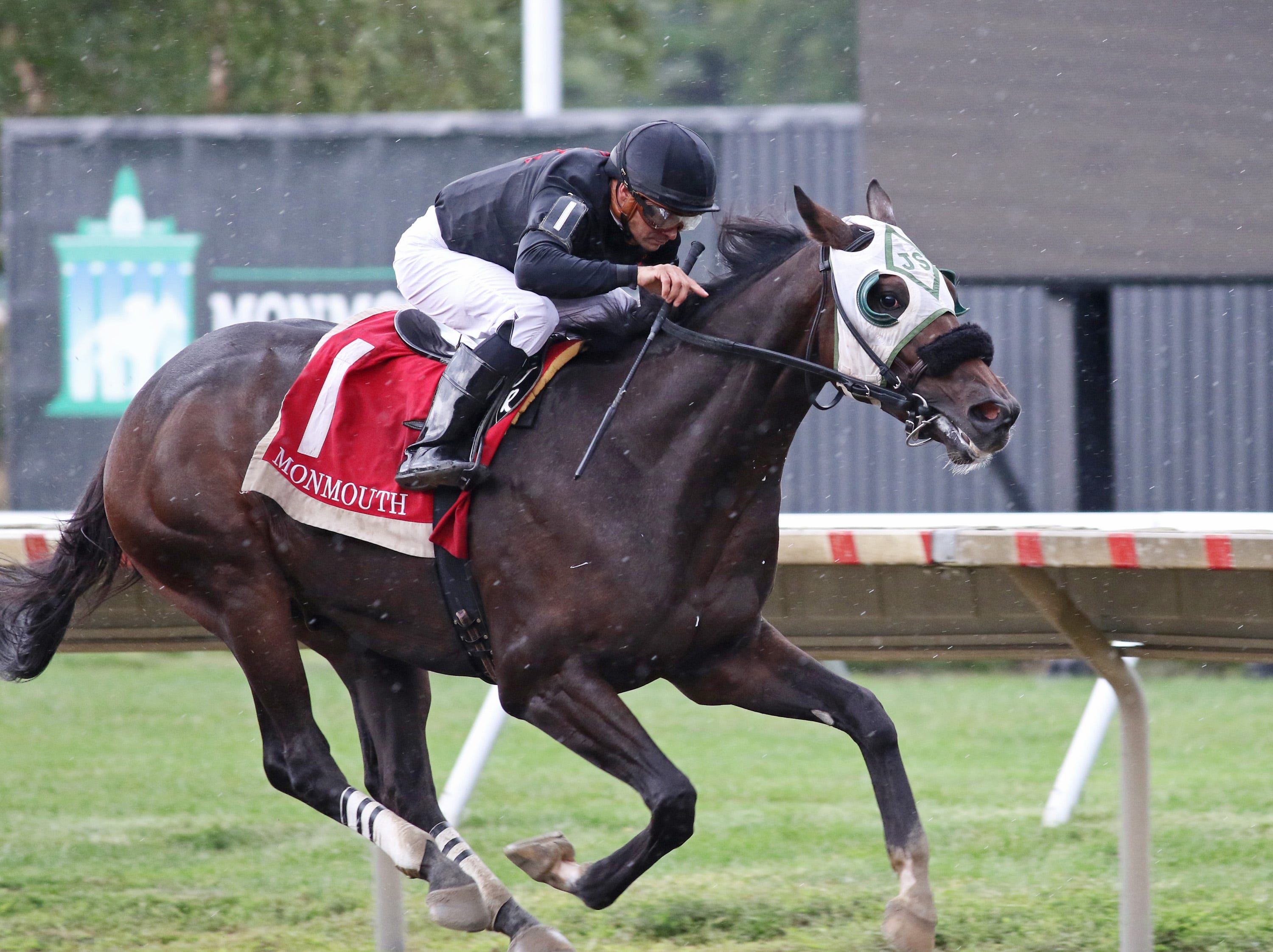 J J Zo Zo turns in dominant performance in Smoke Glacken Stakes