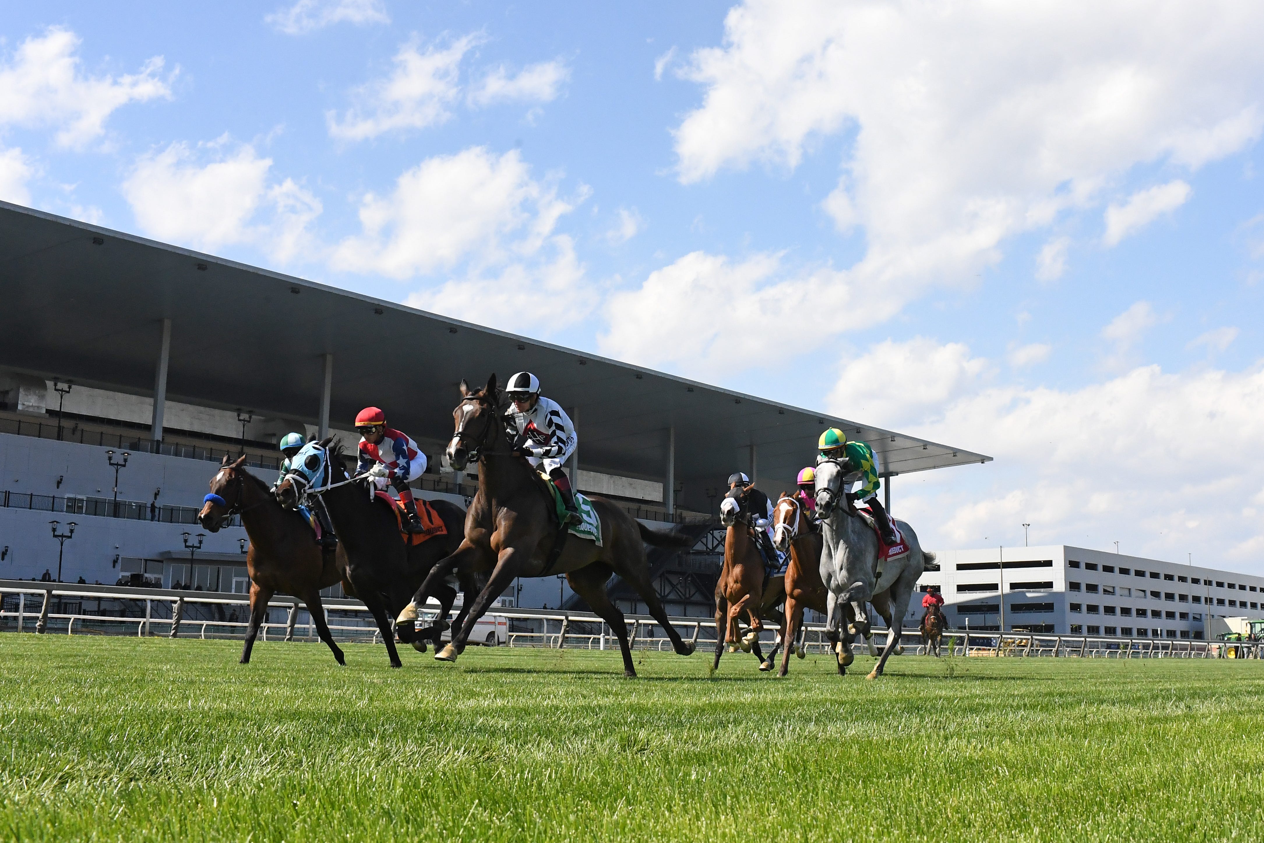 DRF's Horse Racing Playbook for Thursday, October 24, 2024