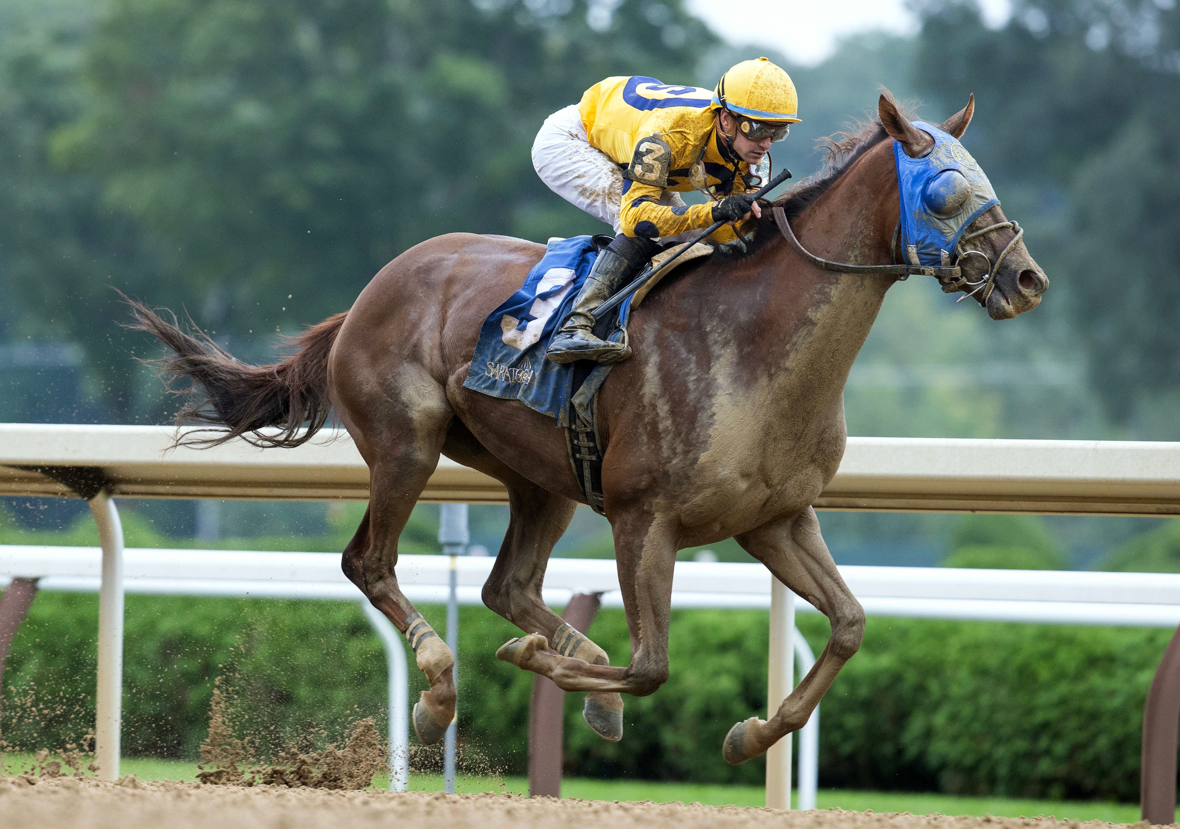 Highweighted Bank Frenzy will have to run down El Grande O in Alex M. Robb
