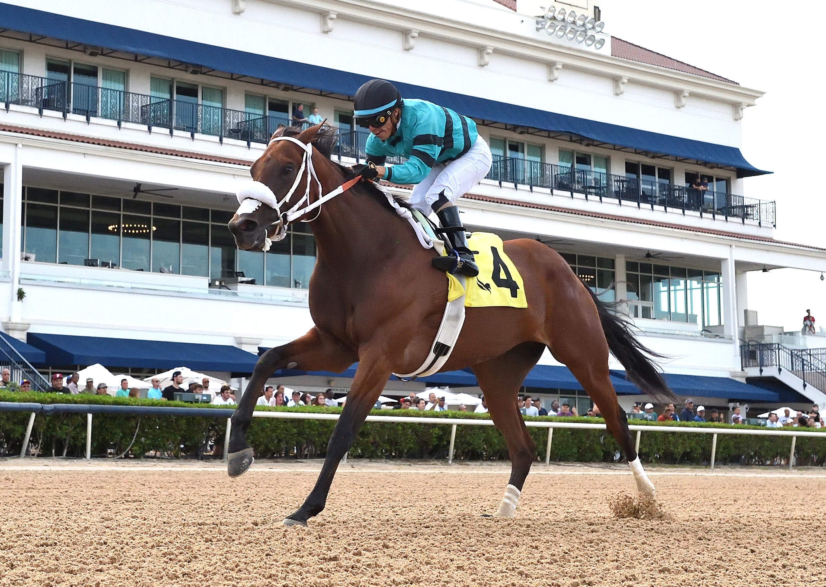 Soul of an Angel, Beth's Dream square off in Princess Rooney