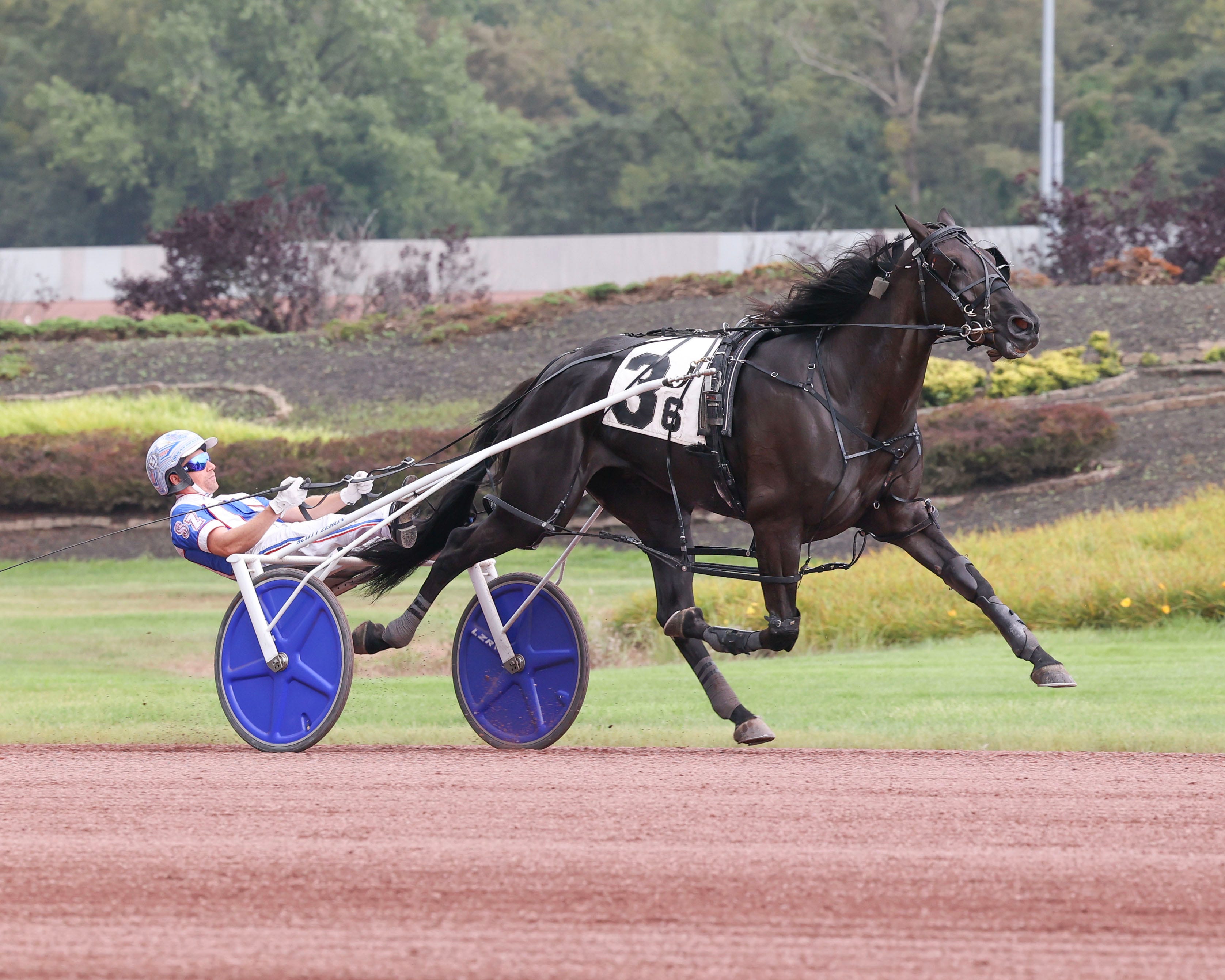 Delaware County Fair: Jugette starter Dandy’s Mercy a homebred delight