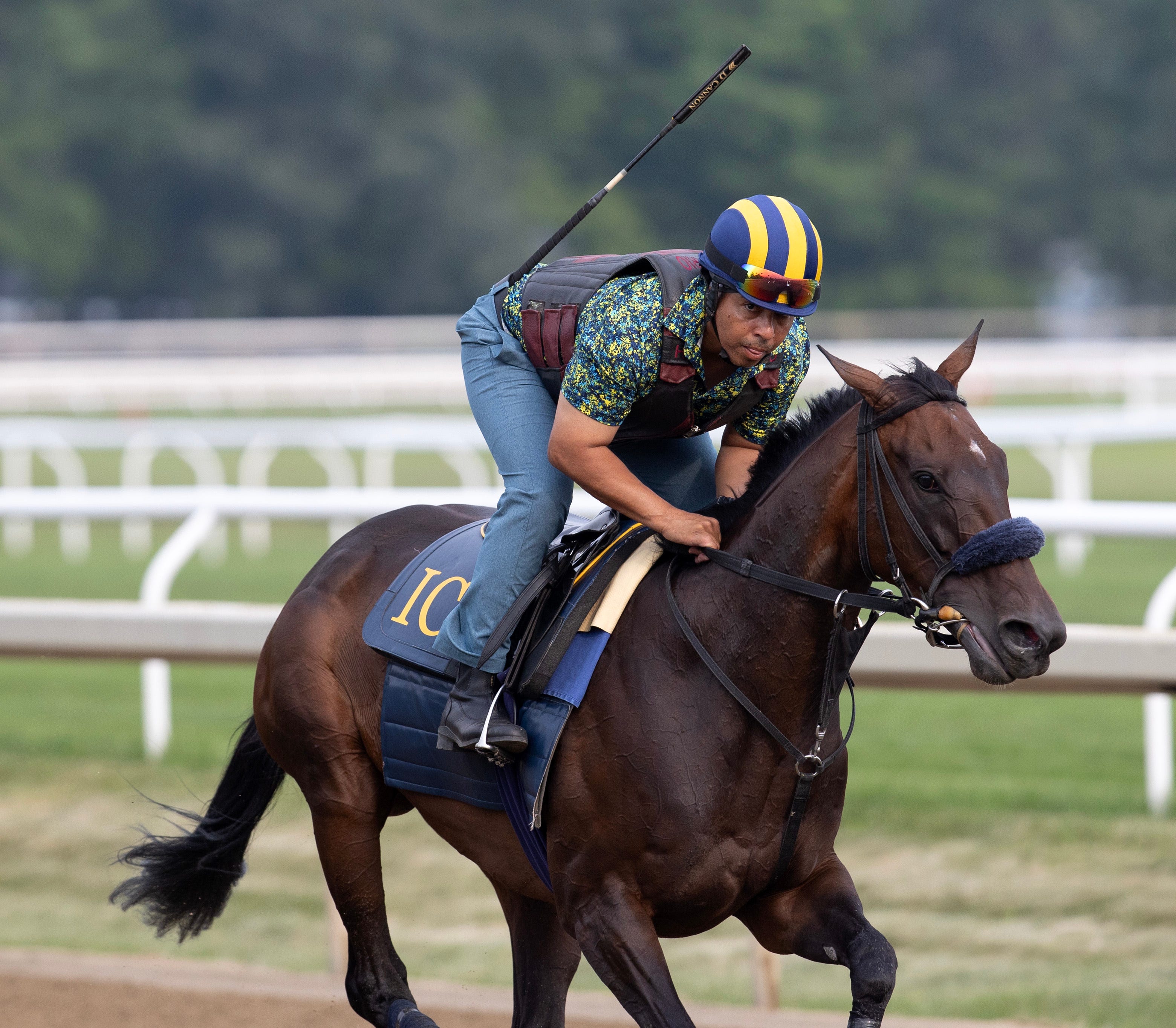 Anisette, Didia prep for BC with clash in John C. Mabee Stakes