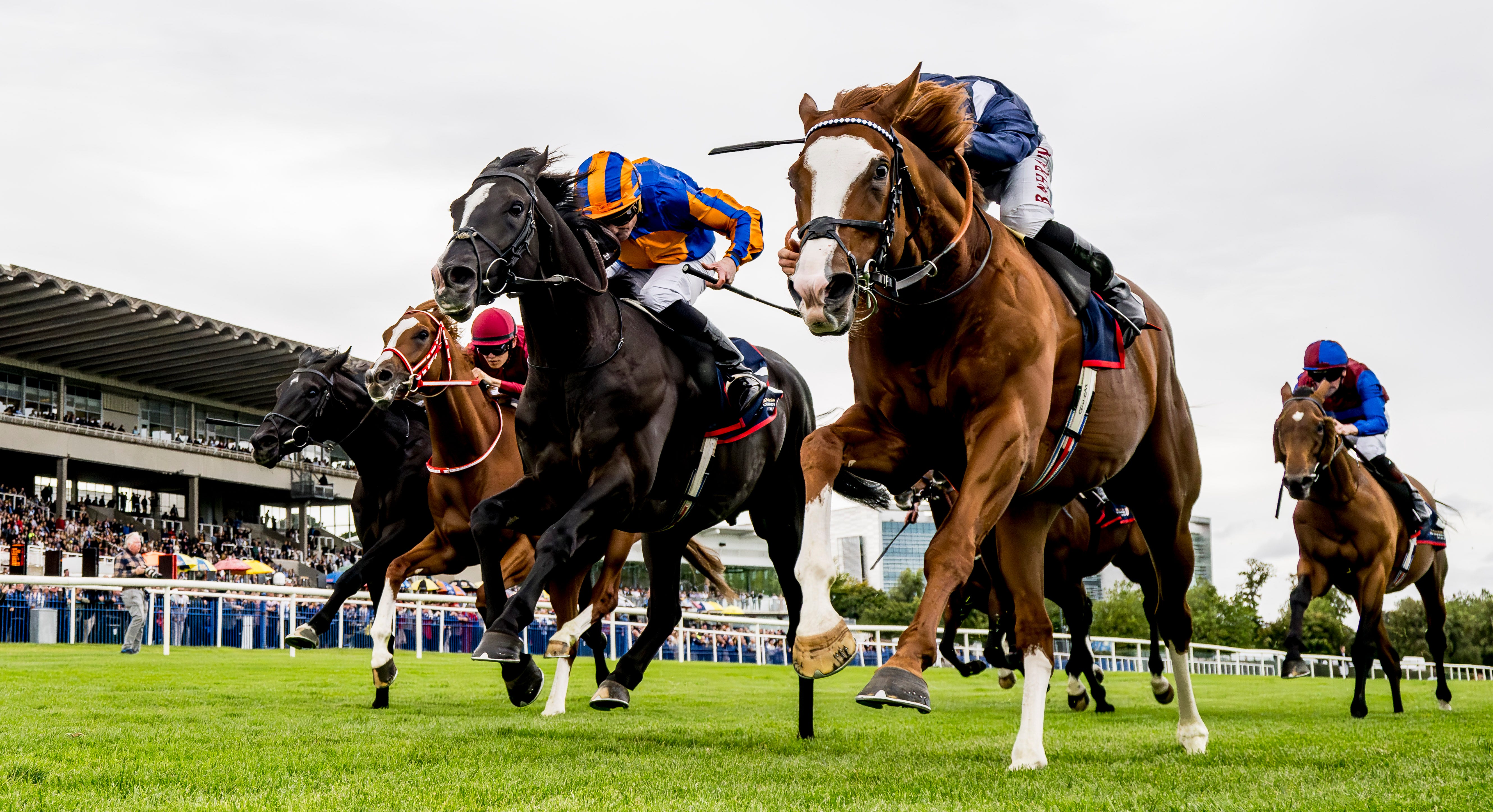 Ireland: Economics best elders in Irish Champion Stakes to lead BC ...