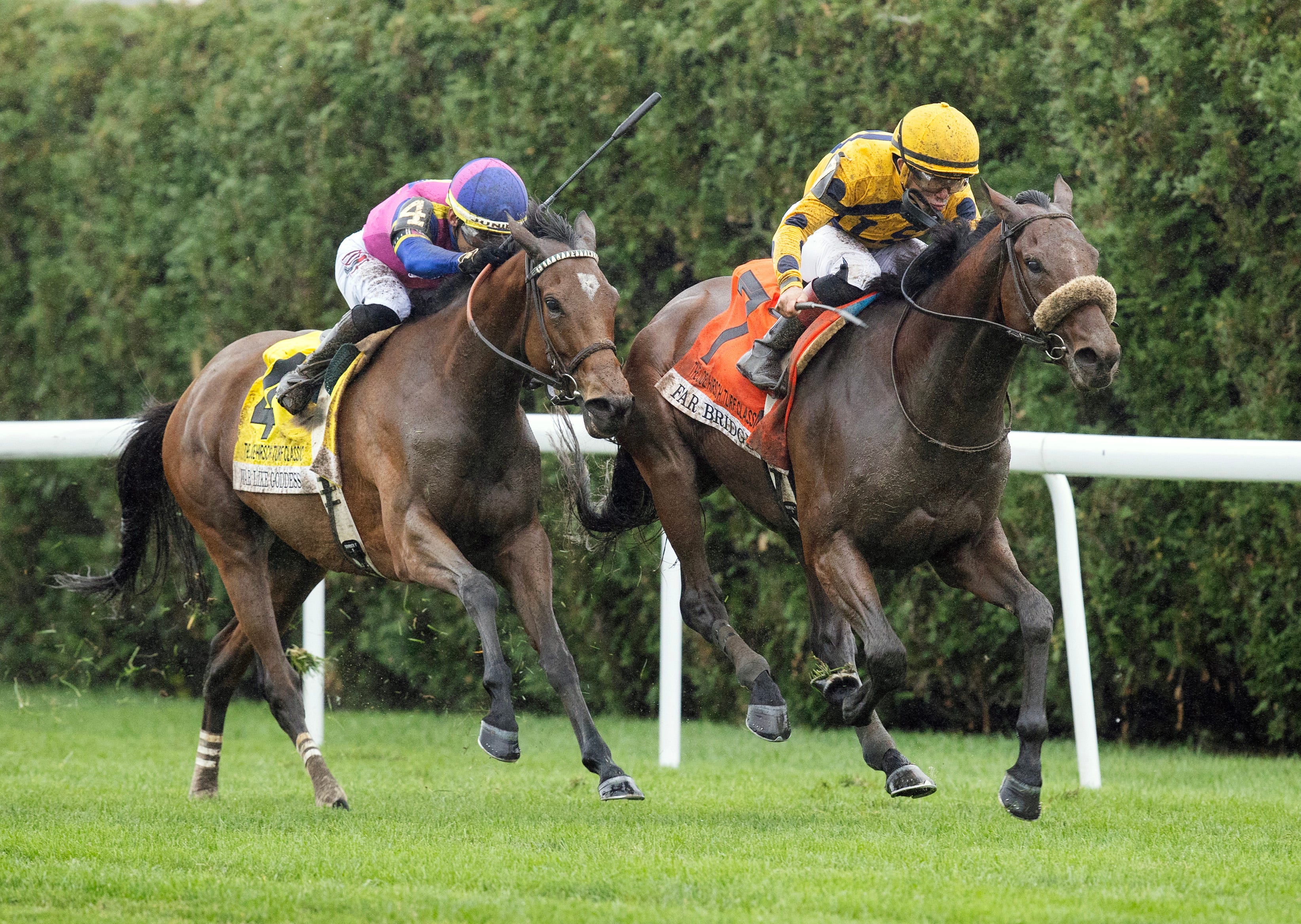 Far Bridge notches second straight Grade 1 victory in Joe Hirsch Turf ...