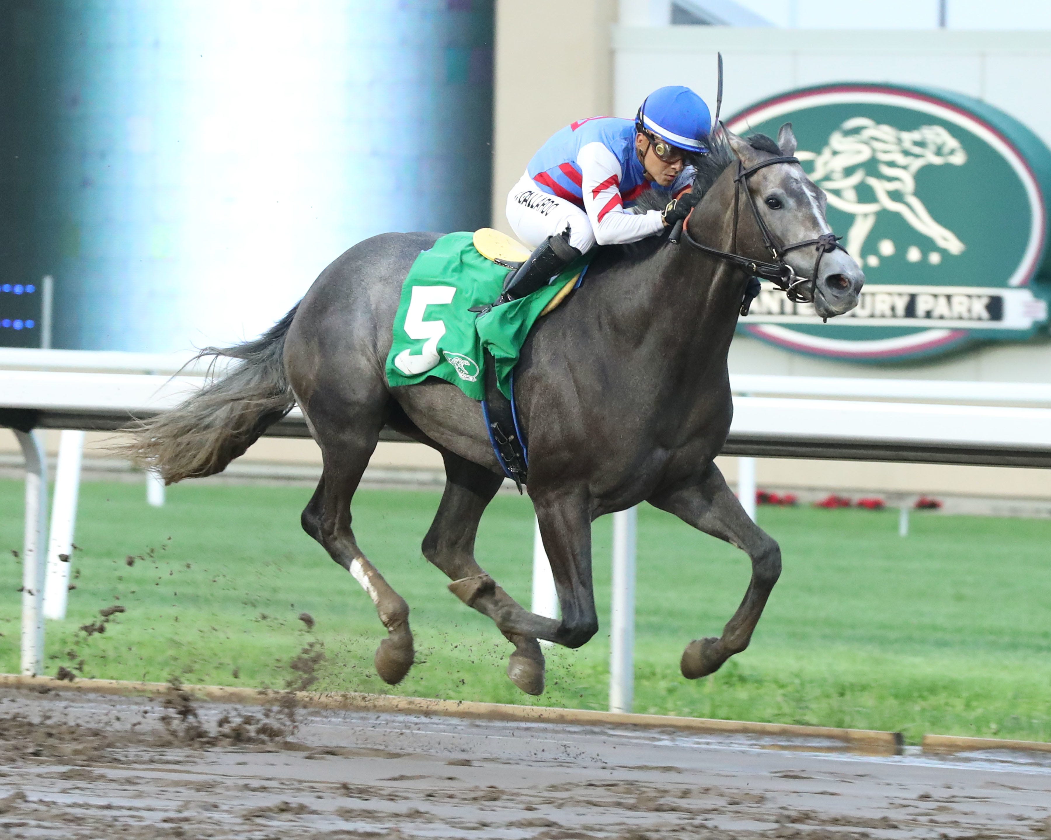 Flat Hanby tries for fifth straight win in Oklahoma Stallion Stakes