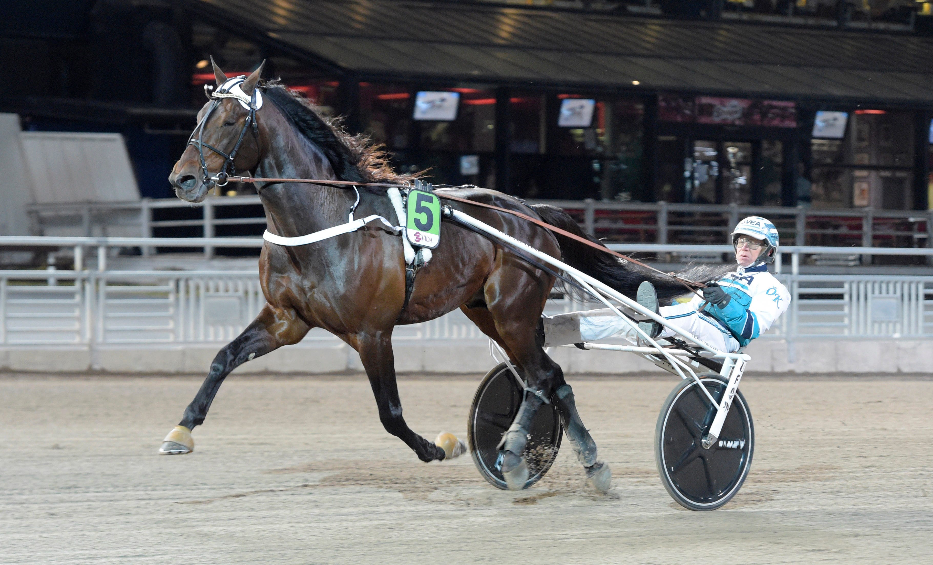 Yonkers: Kihlström hopes for luck with Hail Mary in International Trot