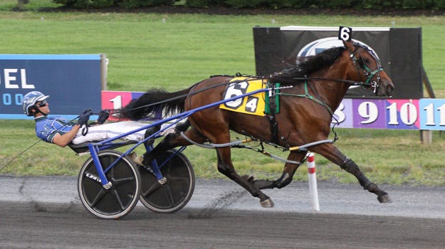 Meadowlands: Saunders eyes another 'A' effort from Manolete in NJSS final