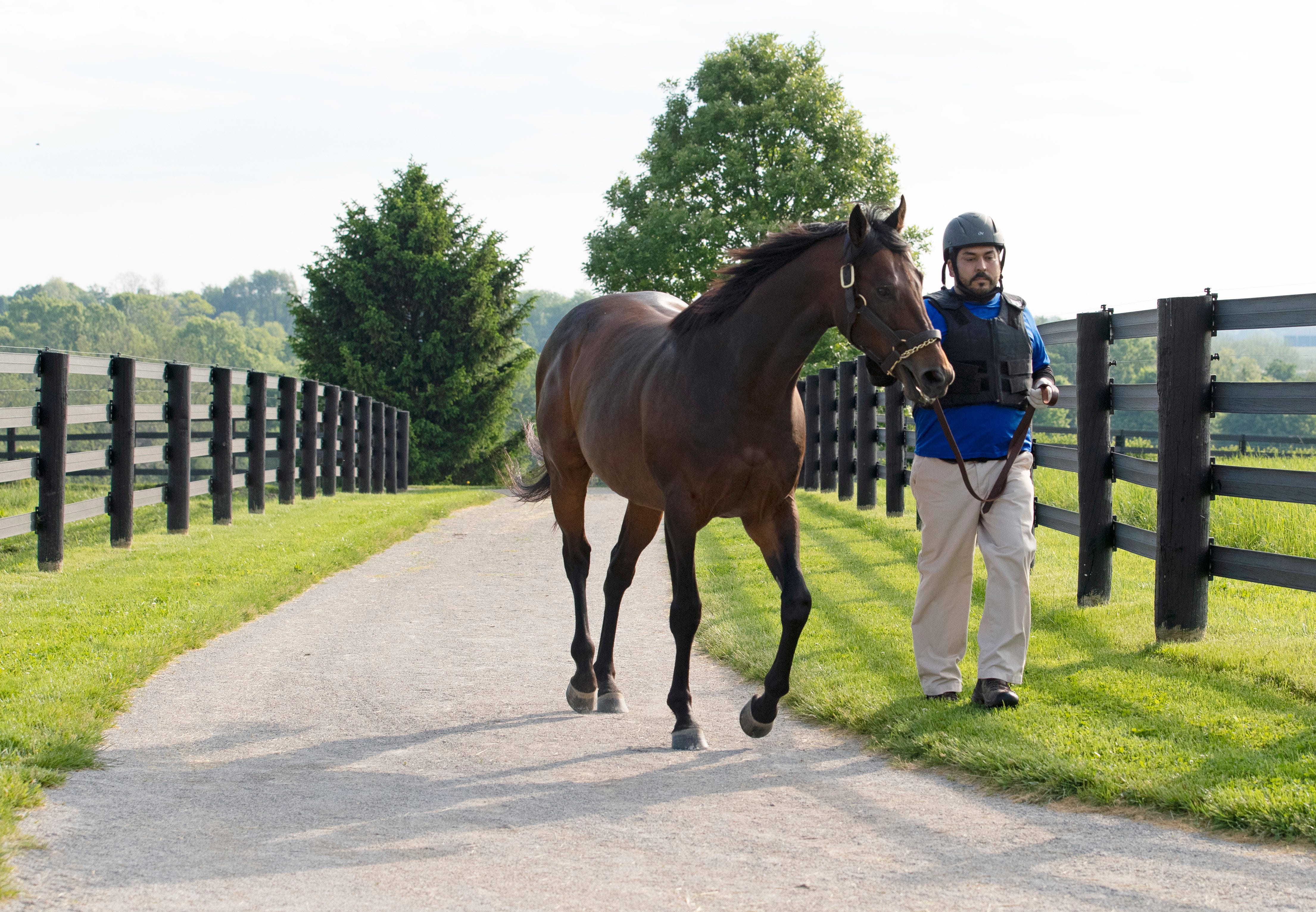 Kentucky Stallions: Nyquist carries on legacy of late sire Uncle Mo