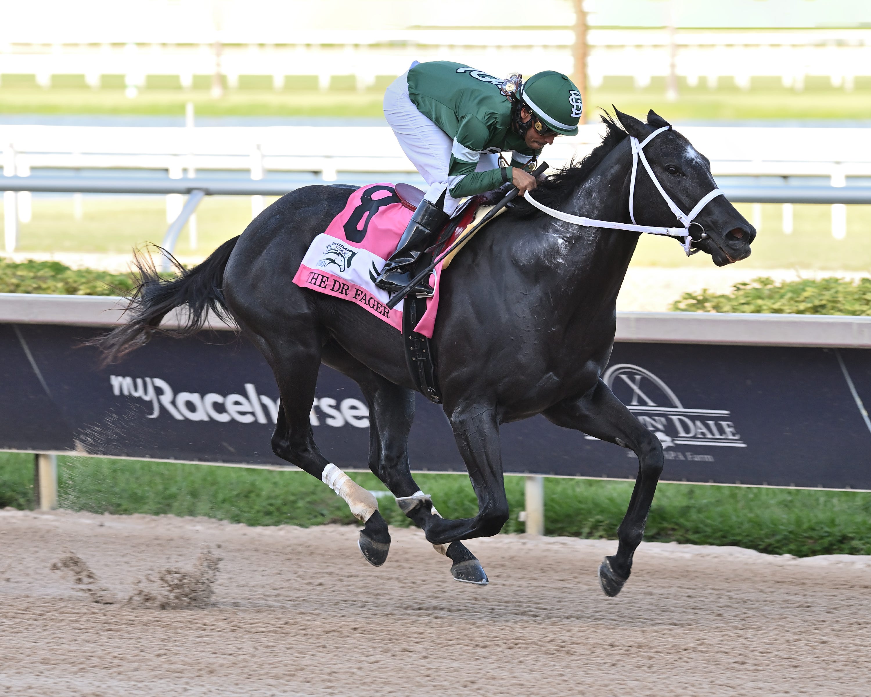 Rated by Merit shows solid form in winning Dr. Fager Division of the ...