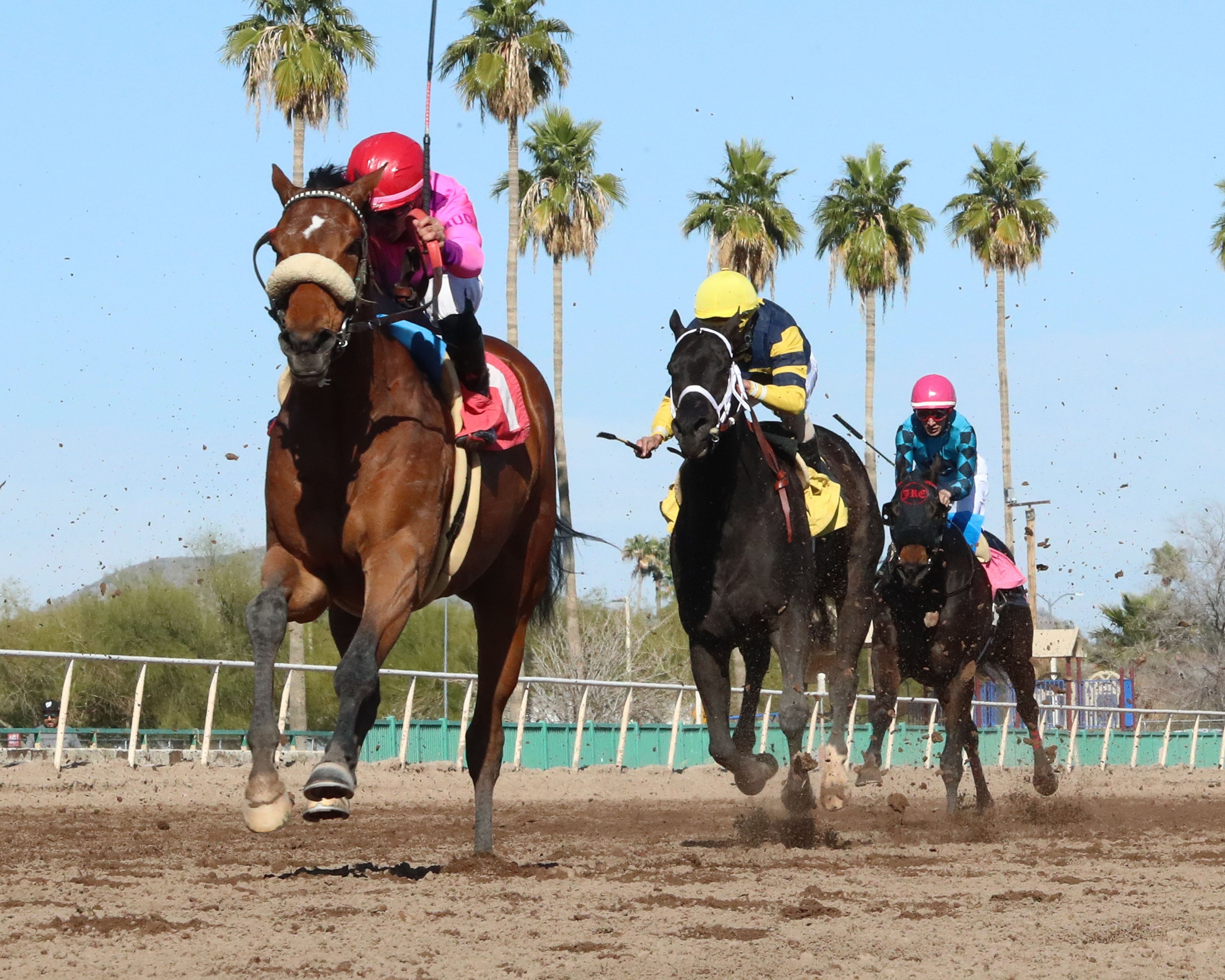 Pokerknightatvees primed for debut score
