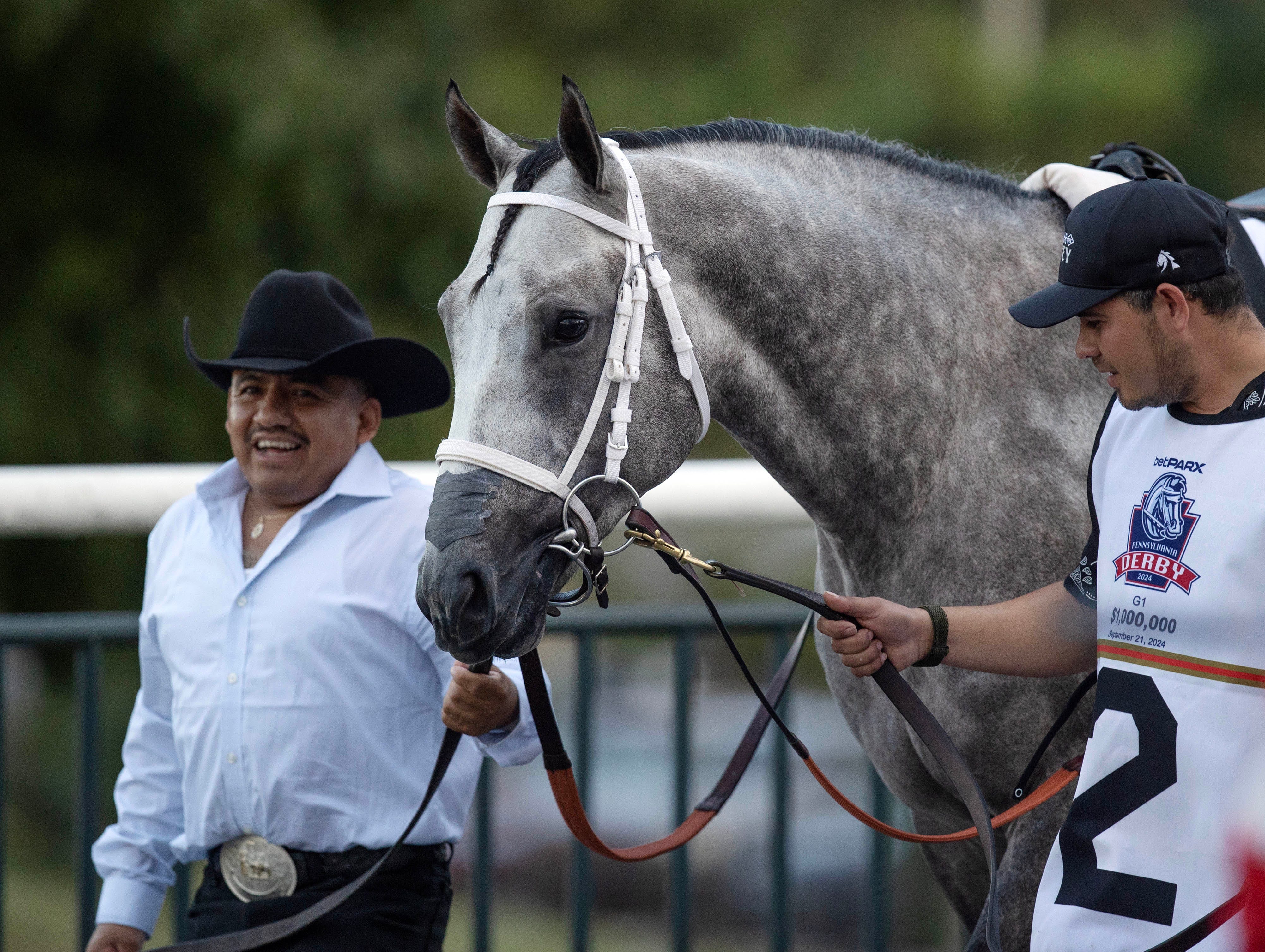 Seize the Grey: Lukas will look at competition before picking BC Dirt ...