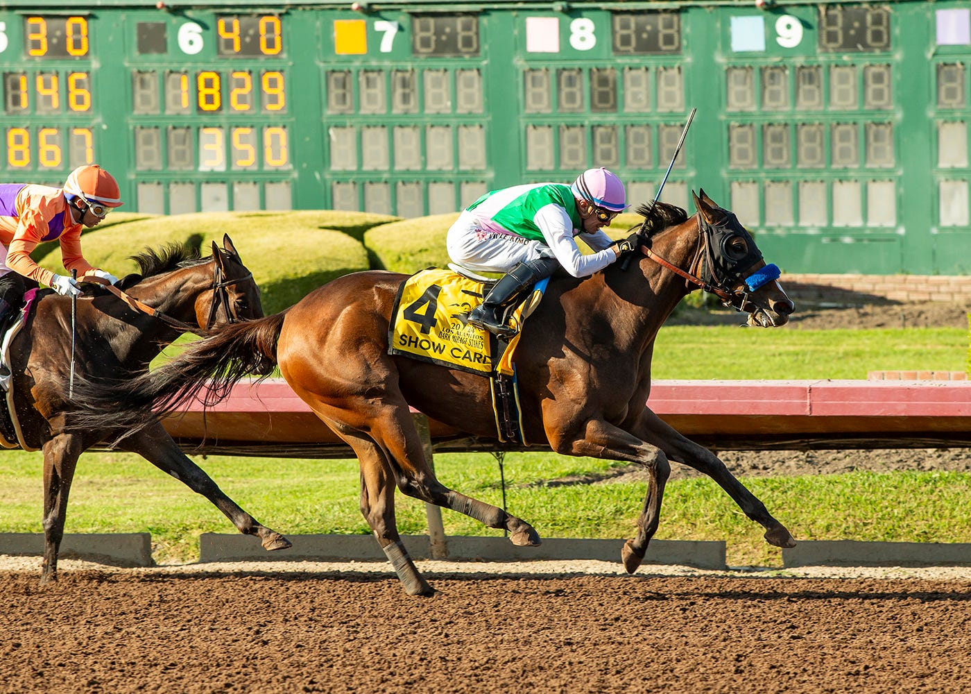 Show Card holds off Coffee in Bed in Dark Mirage Stakes