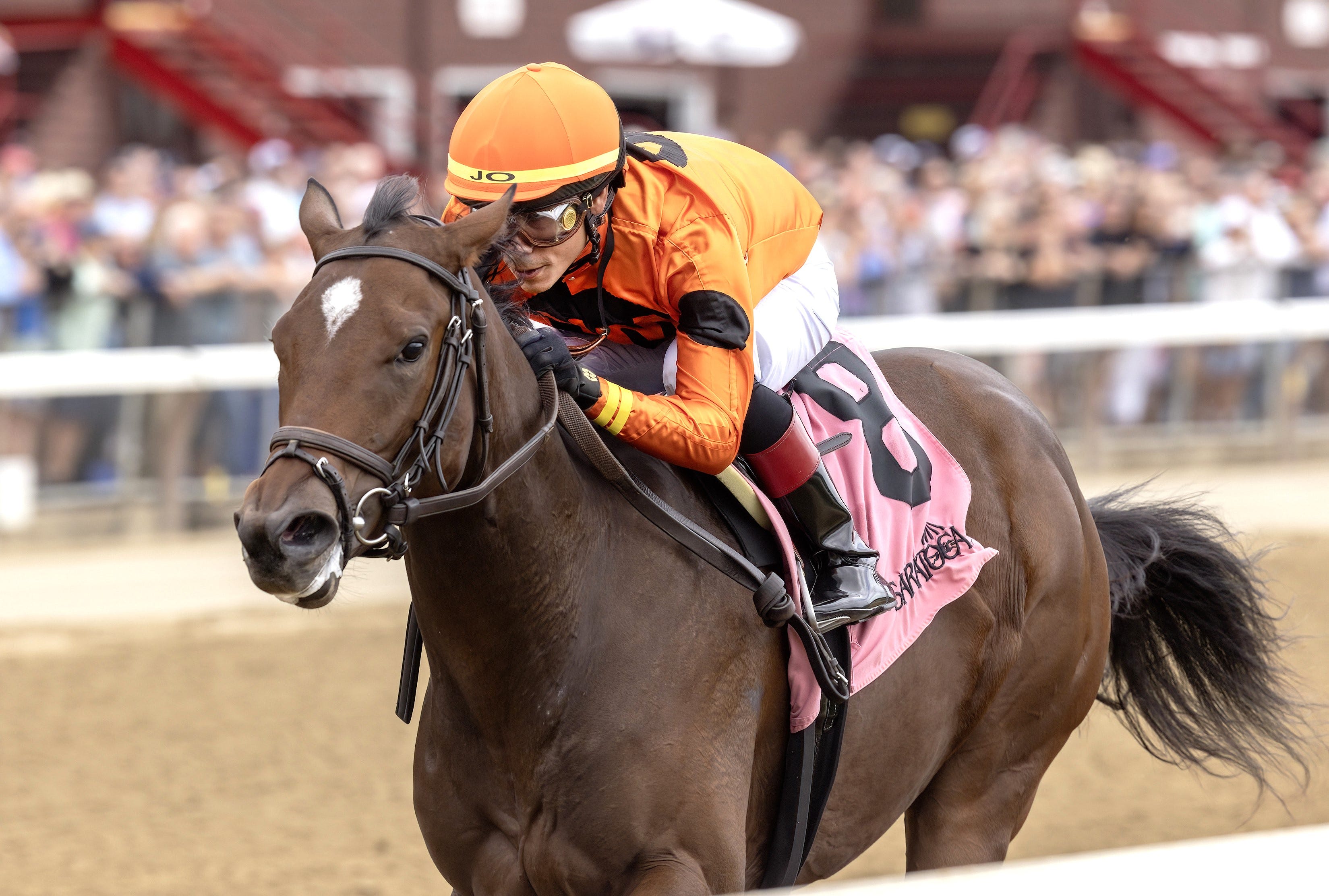 With the Angels big fave in Gimma; Bongard looks wide open