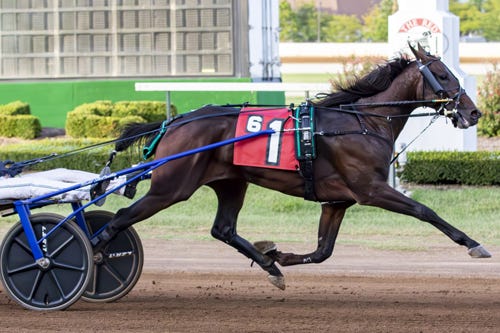 Red Mile: Go Dog Go, Miki And Minnie win in Kentucky Championship Series