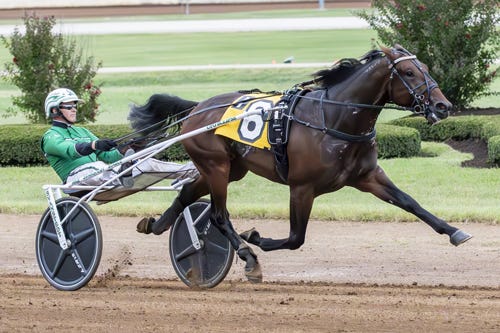 Red Mile: Svanstedt doubles in Bluegrass Series for freshman male trotters
