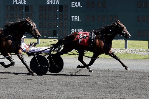 Harrah's Philadelphia: New PA Stallion Series standards set in ...