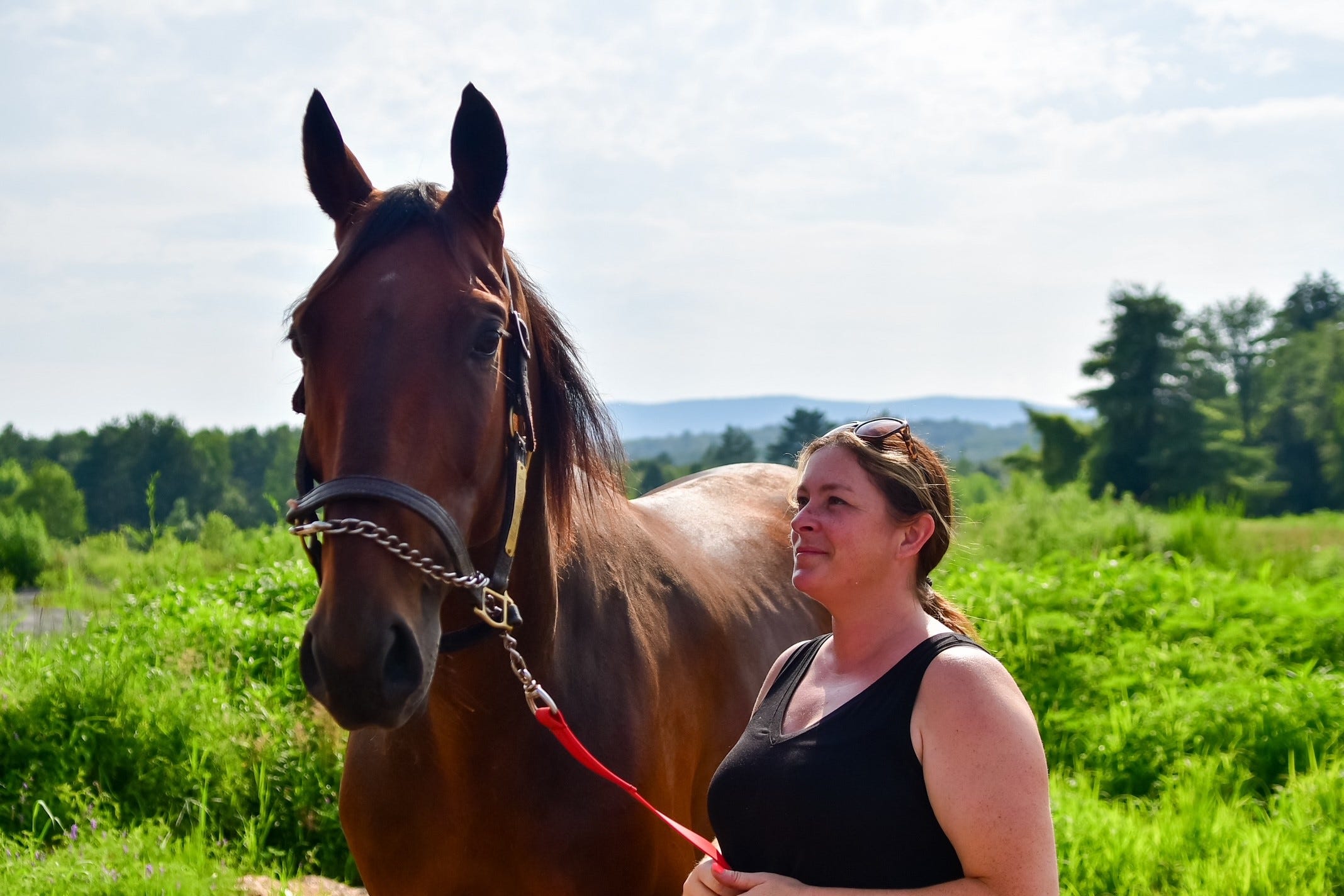 Harness: Fractional ownership allowing people to join in what they love