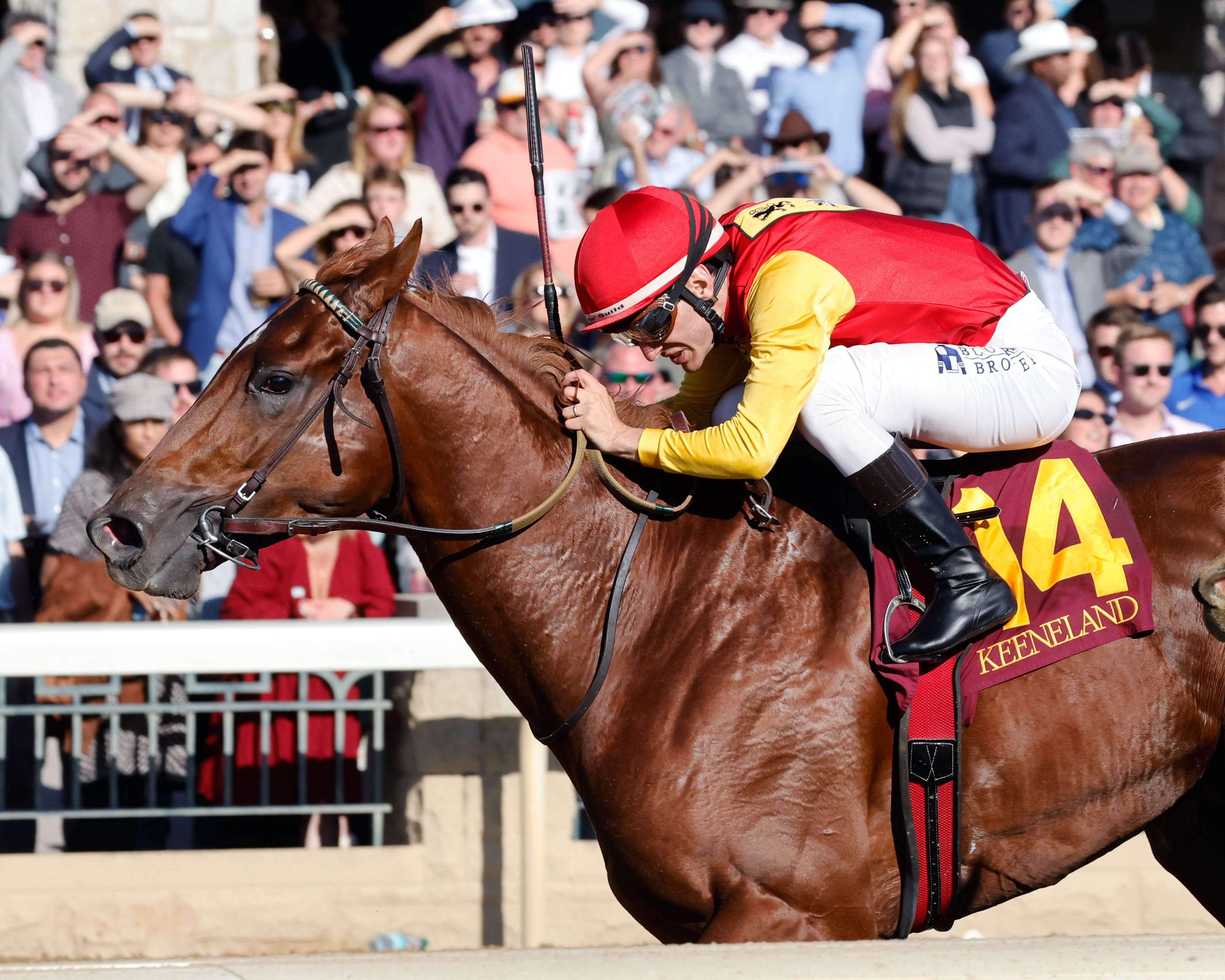 Brunacini ($58.16) outsteps Book'em Danno at wire in Perryville Stakes