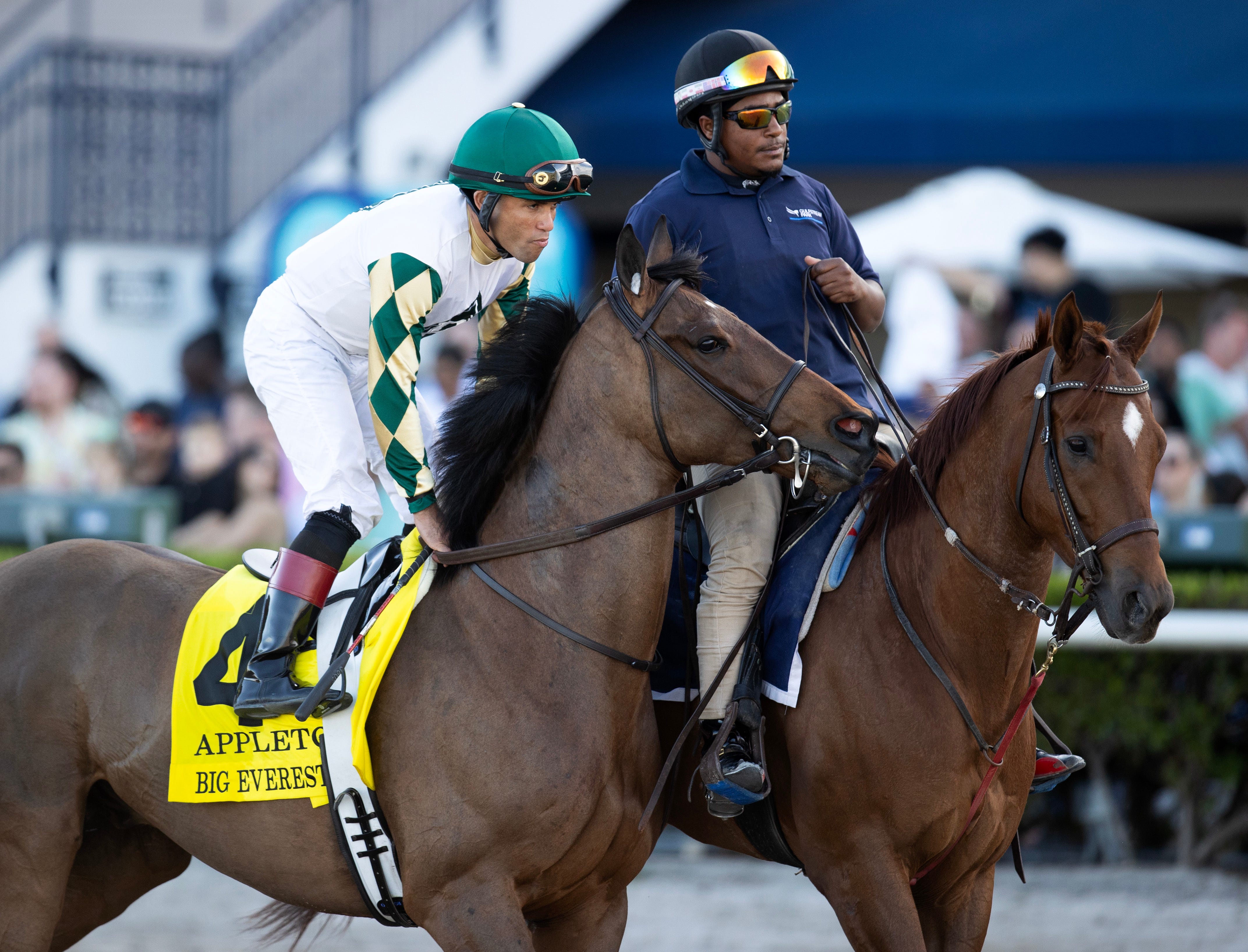 Big Everest looks to make it a three-peat in Artie Schiller