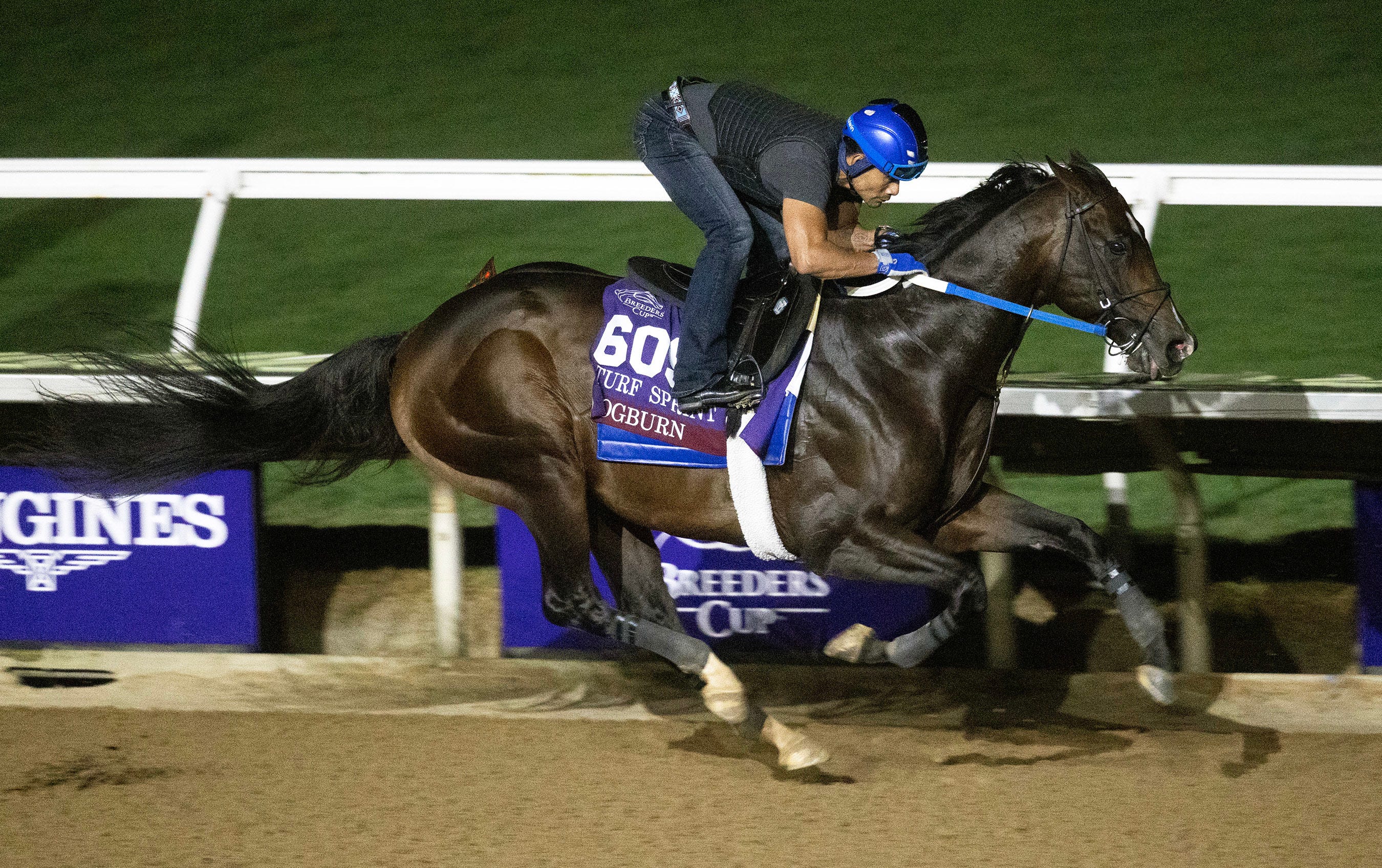 Breeders' Cup Turf Sprint: International field will all have to catch ...