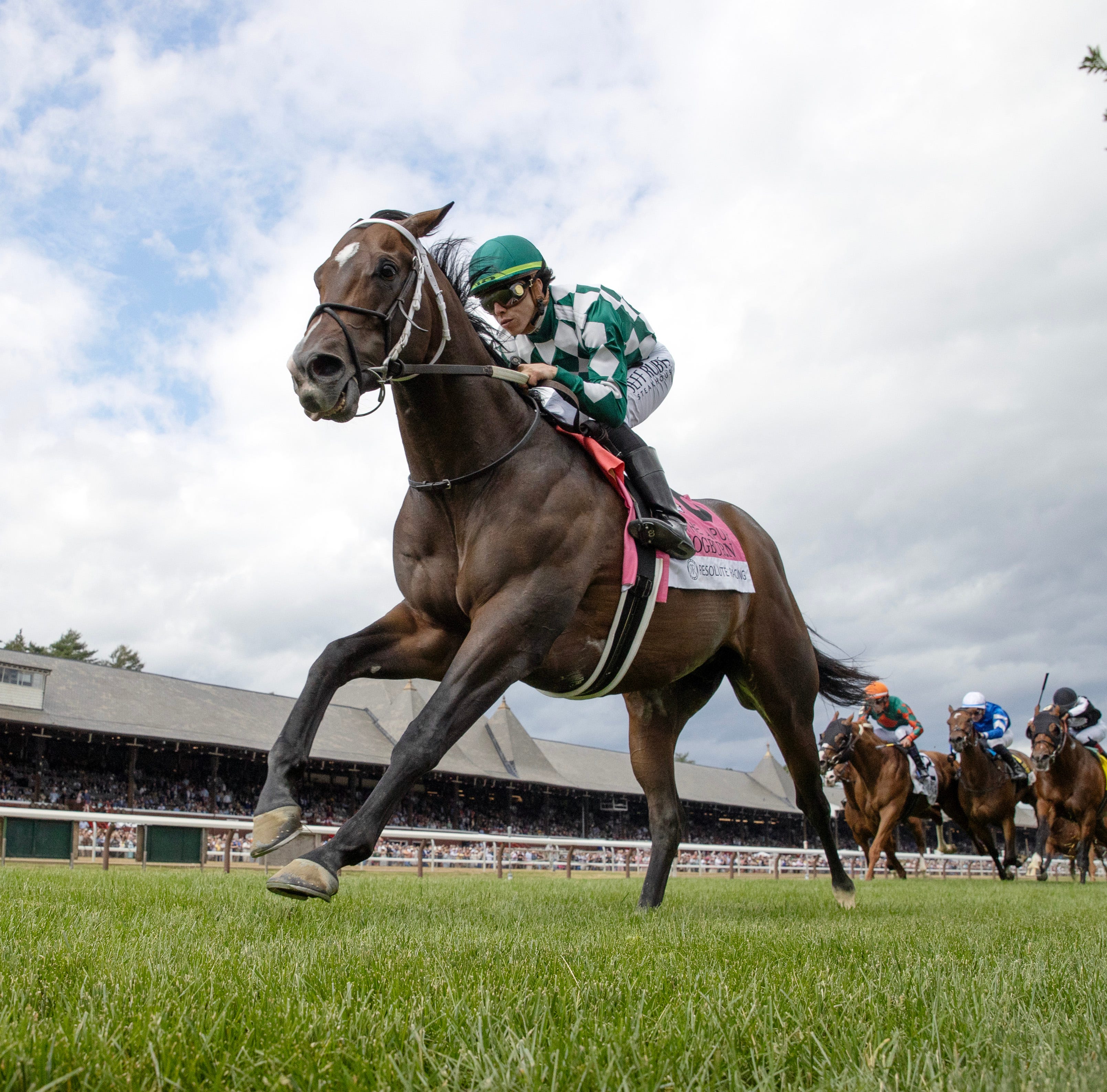 Breeders' Cup Turf Sprint: Spotlight will be on Cogburn, even before ...