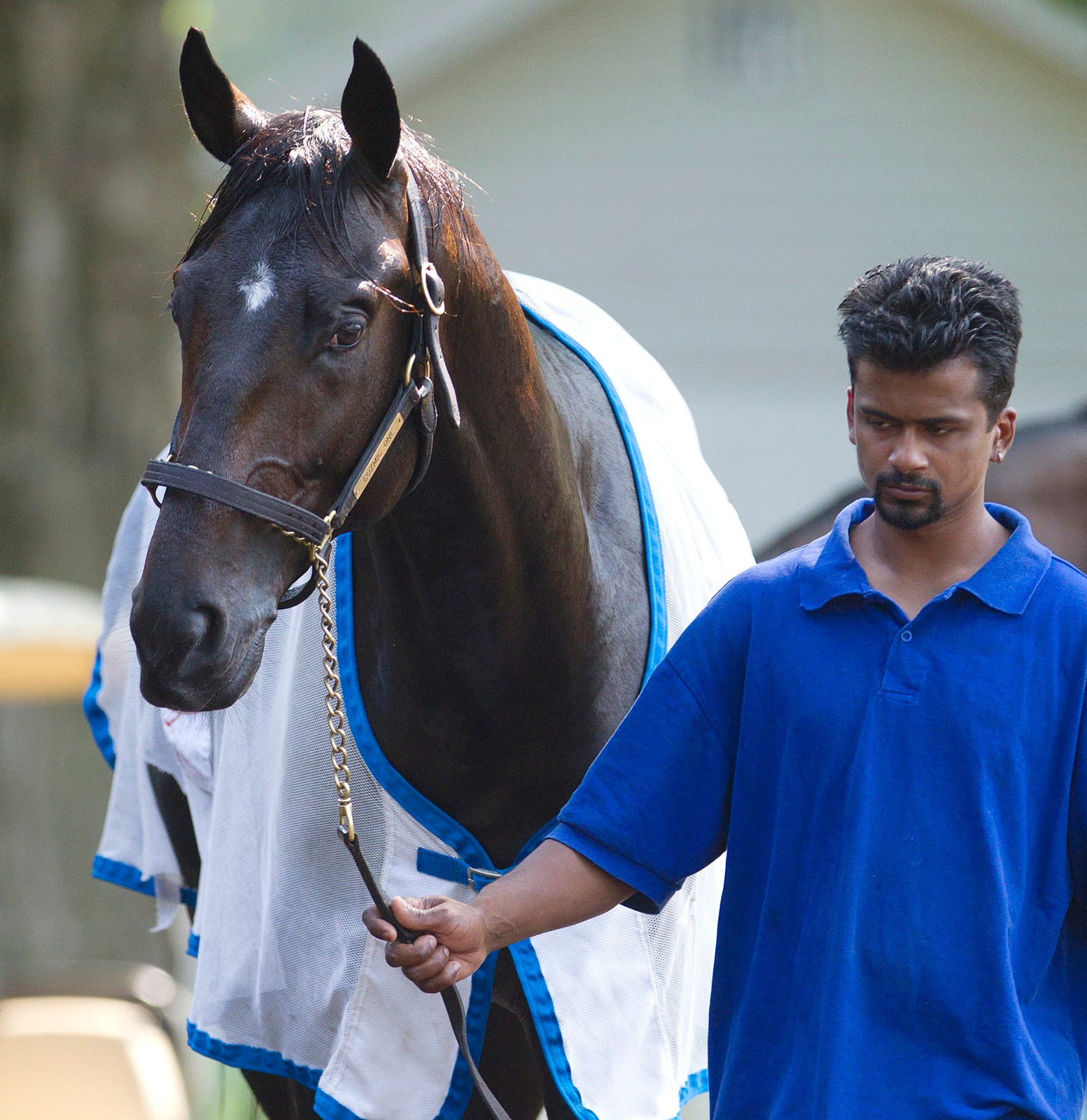 Cozmic One's resume goes from racing, to jumping, and now ambassador