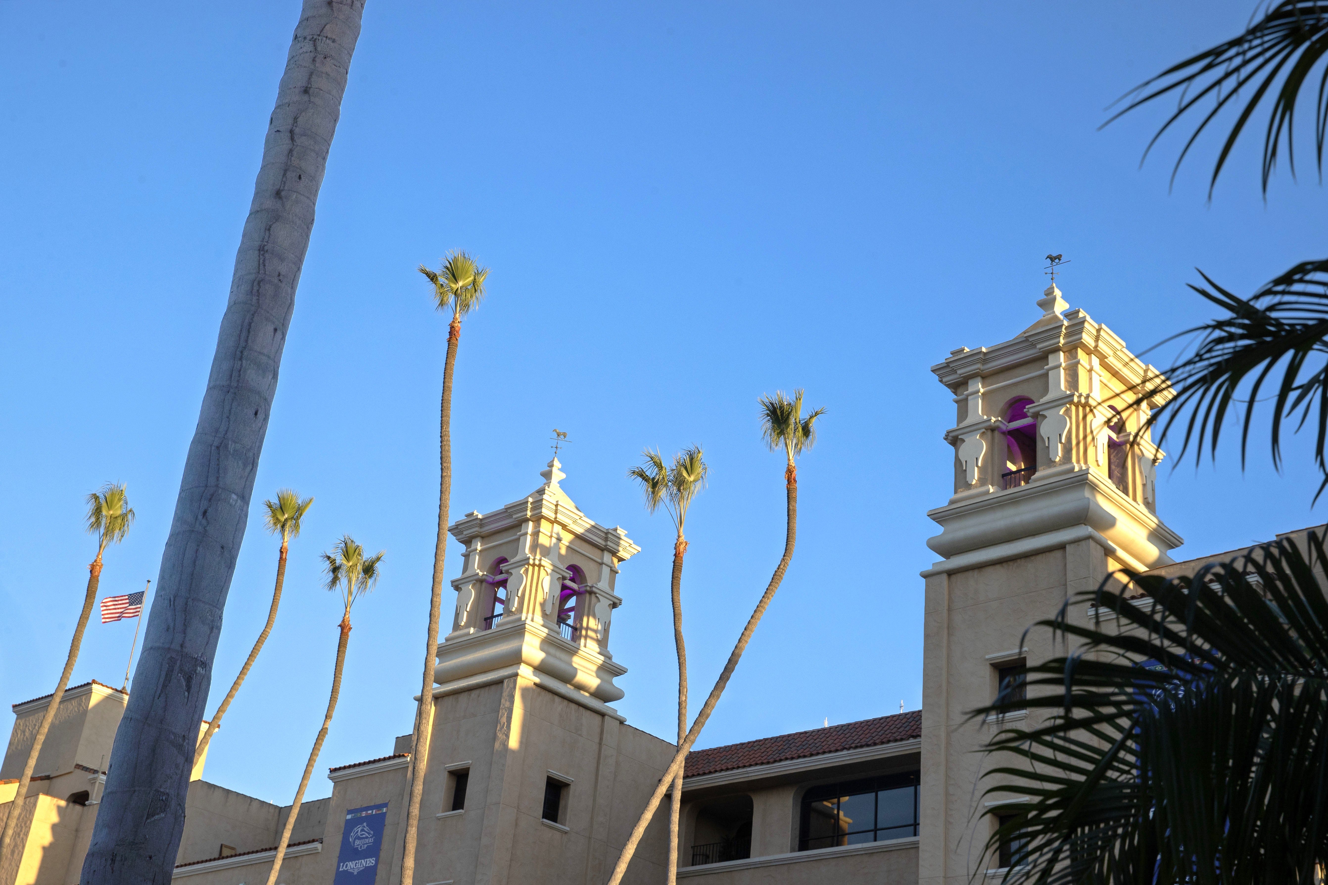 Breeders' Cup Juvenile Fillies Turf: California owner LaRoche running ...