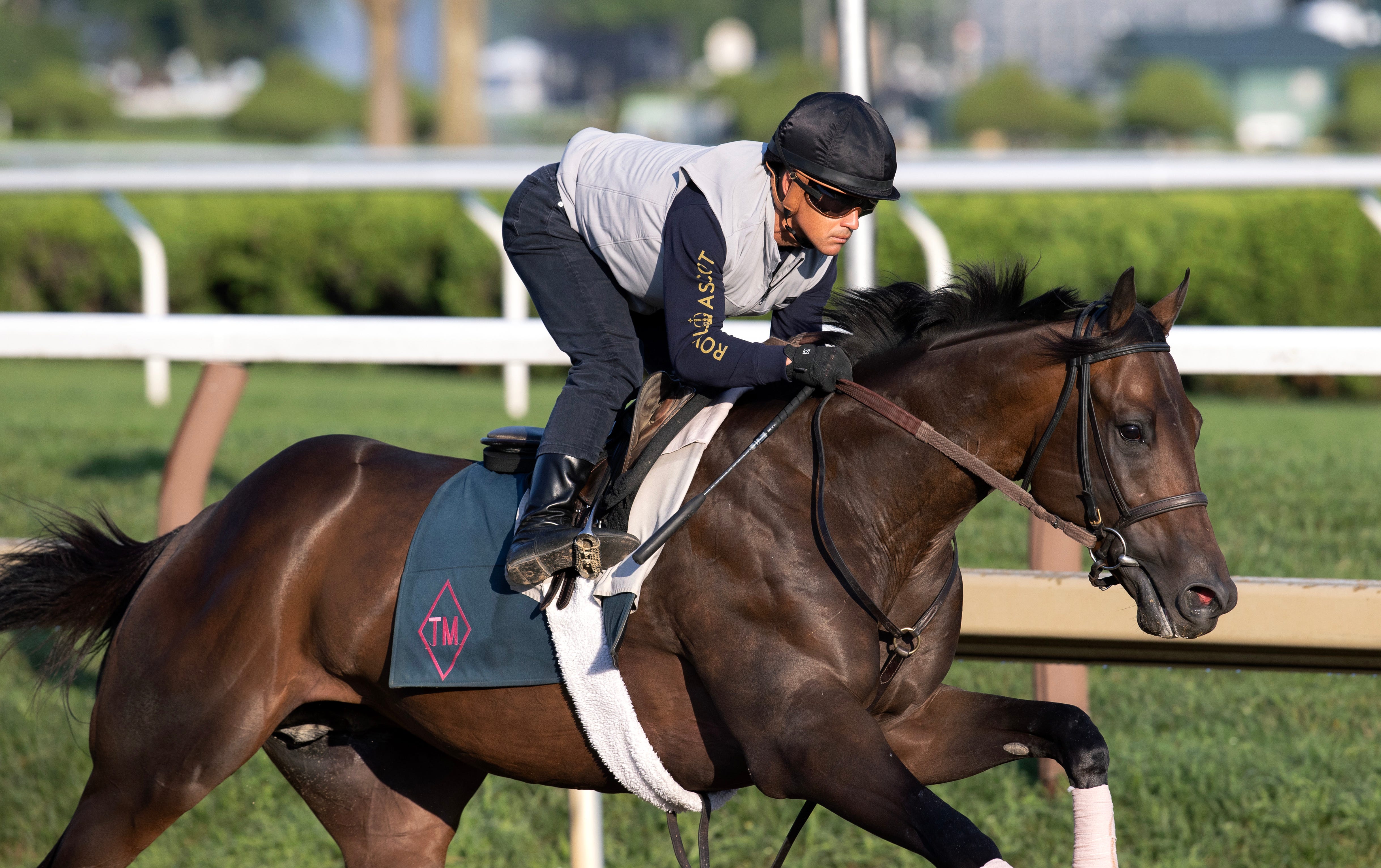 Staying on turf, Morley has options for Donegal Momentum