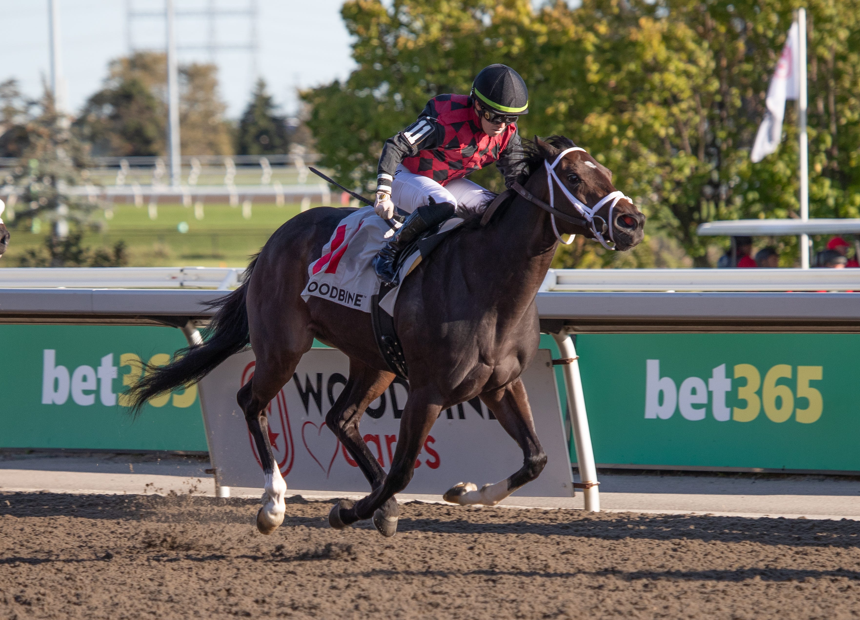 Jockey Aebly Guides Pair Of Longshots To Sweep Of Stakes