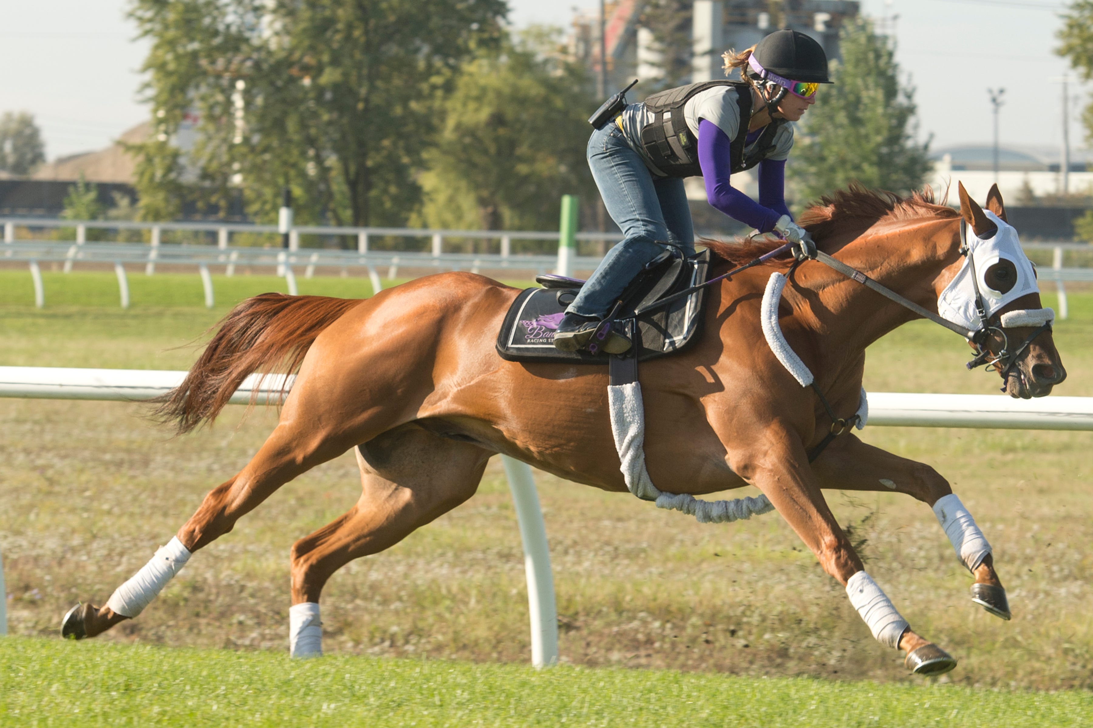 Class drop should help English Conqueror regain form