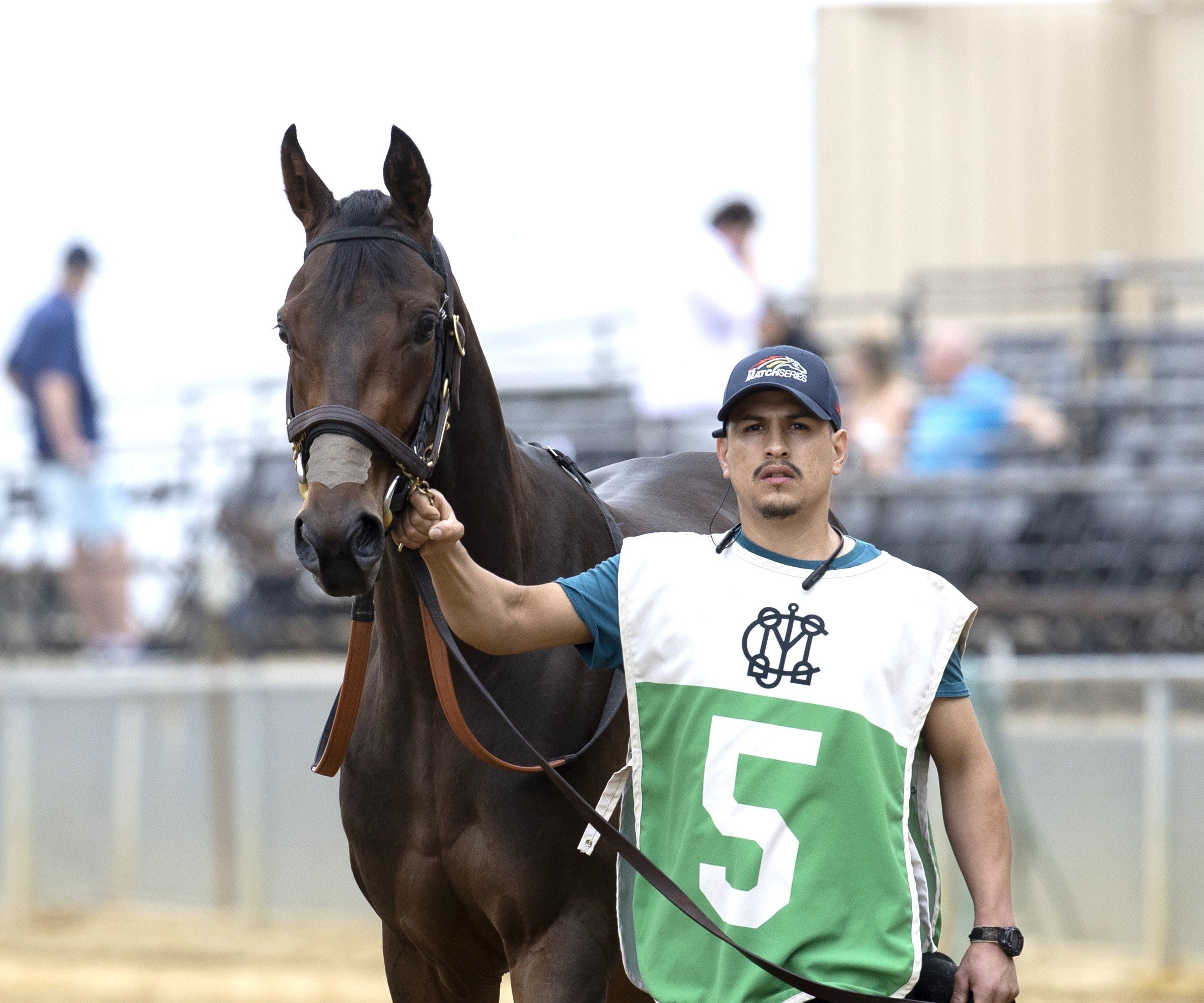 Maryland Million Classic has full gate of evenly matched runners