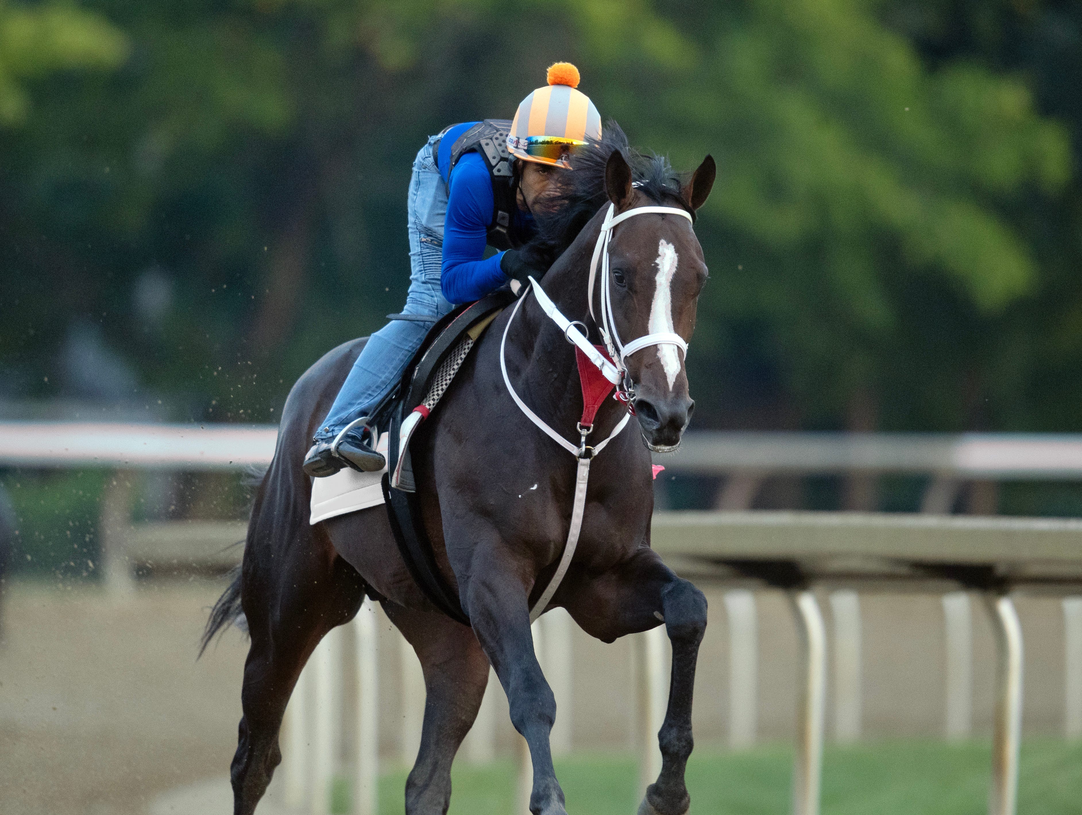 Ferocious looks tough but competition is deep in Breeders' Futurity