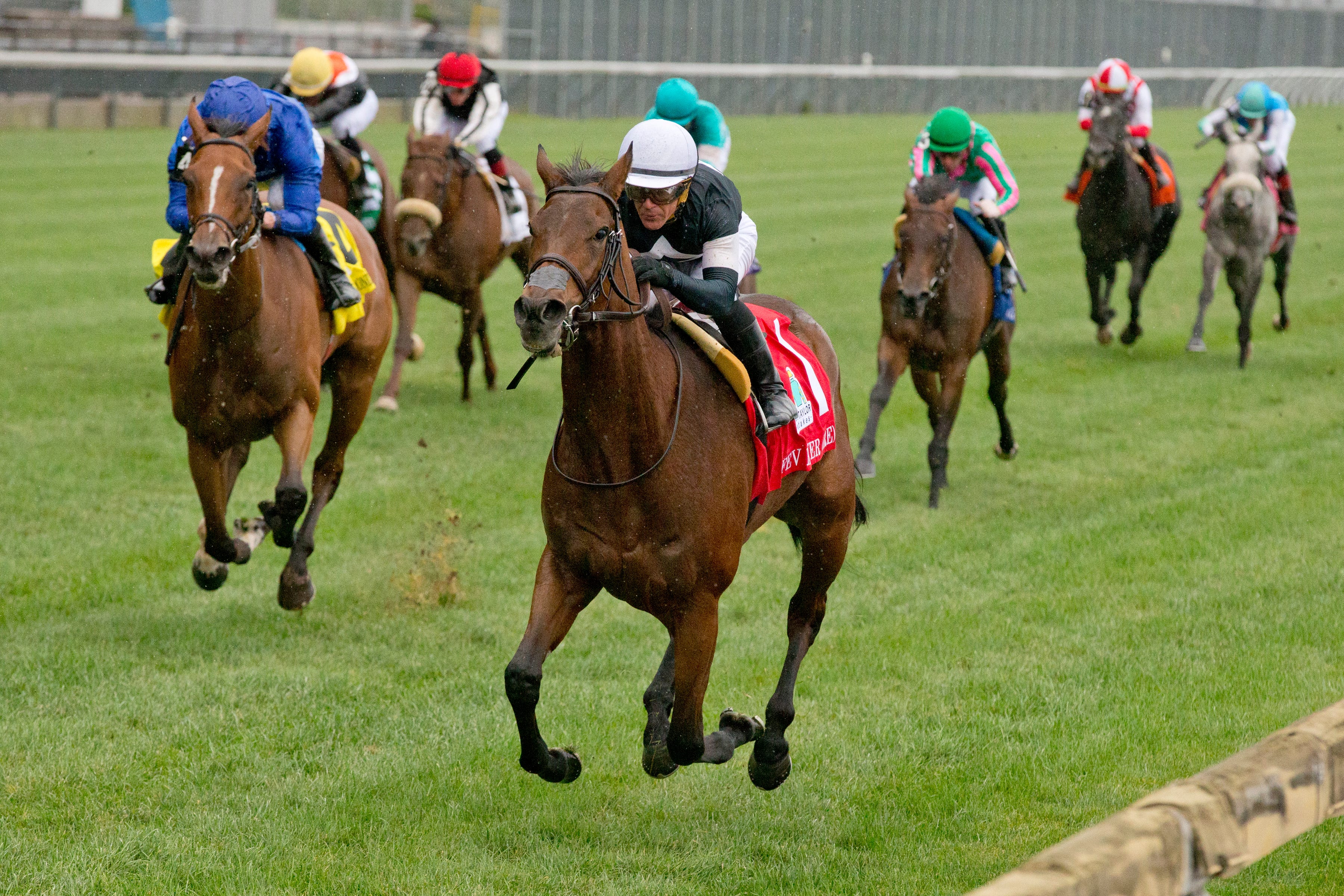 Fev Rover taking final bow in Dance Smartly